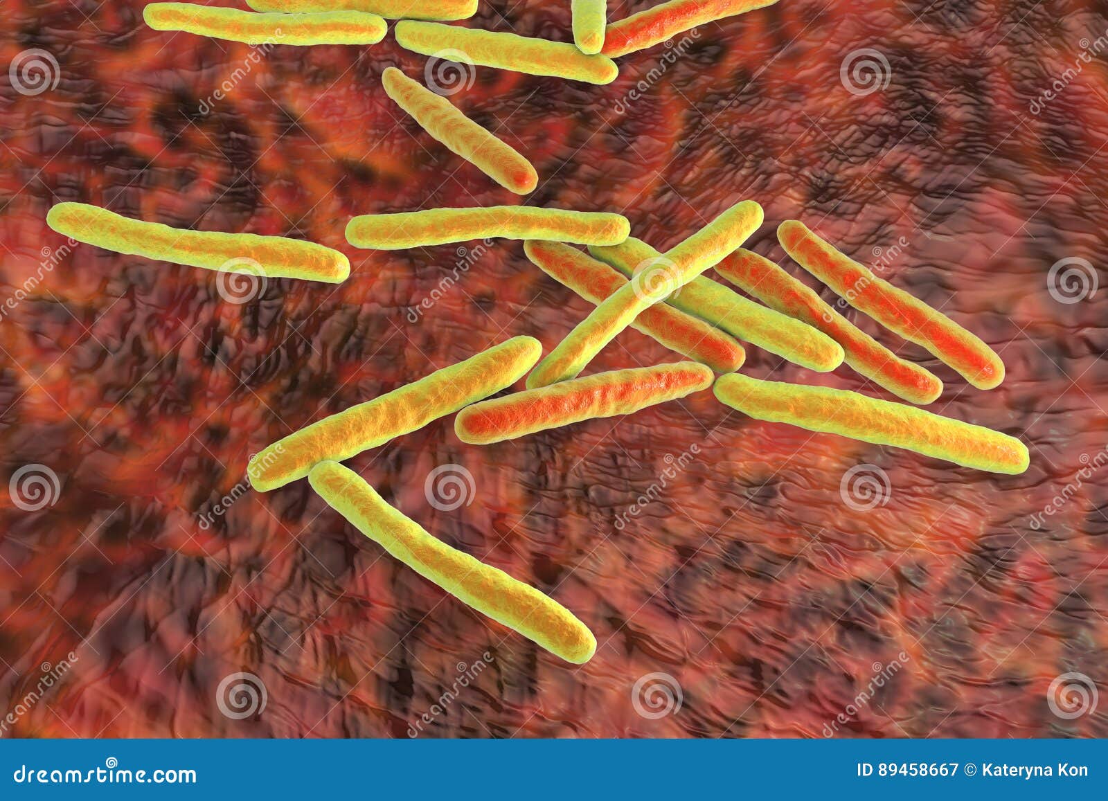 Bacteria Mycobacterium Tuberculosis Stock Illustration - Illustration ...