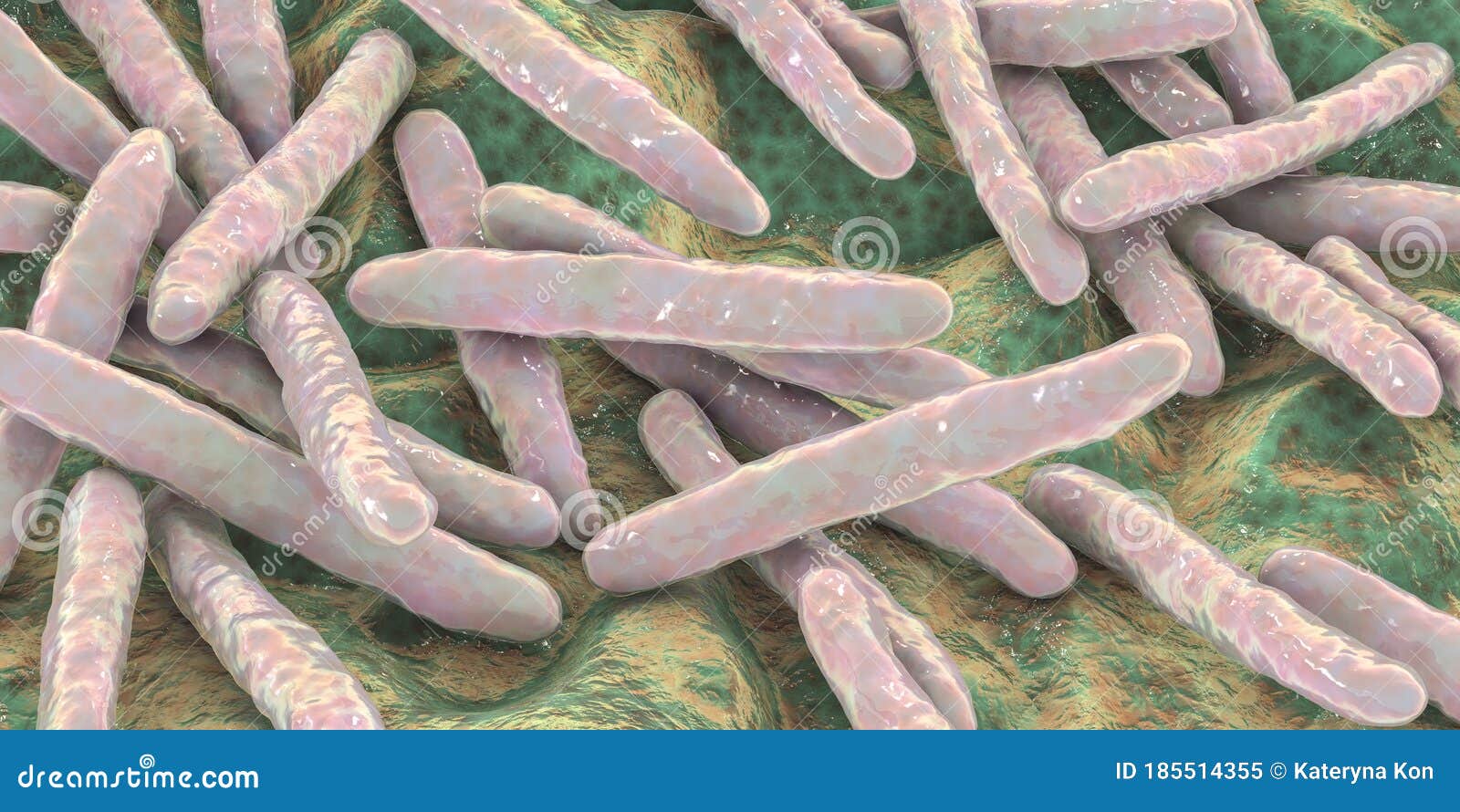 Bacteria Mycobacterium Tuberculosis Stock Illustration - Illustration ...