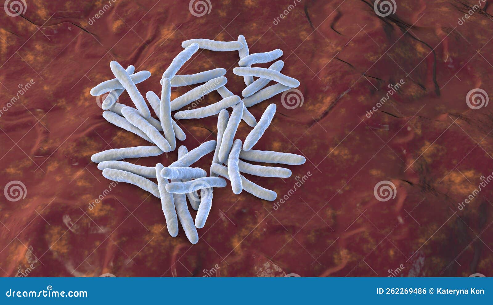 Bacteria Mycobacterium Tuberculosis, the Causative Agent of ...