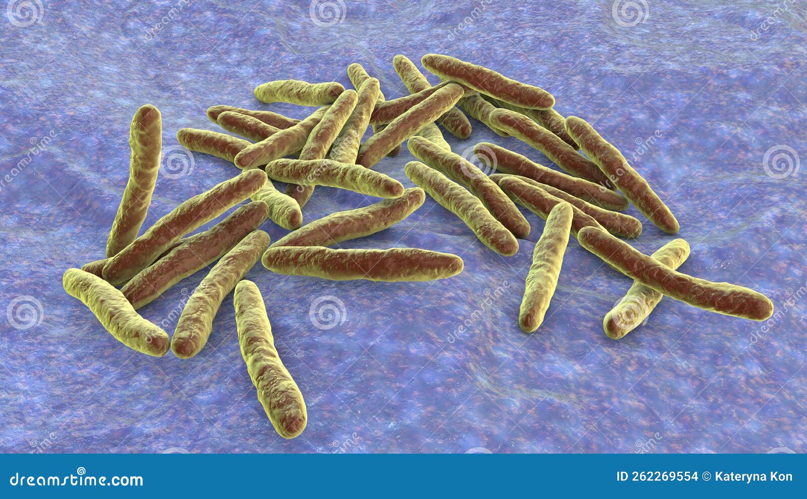 Bacteria Mycobacterium Tuberculosis, the Causative Agent of ...