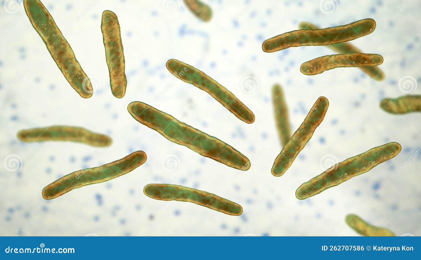 Bacteria Mycobacterium Tuberculosis, the Causative Agent of ...