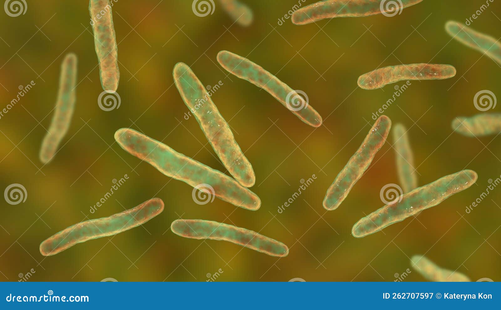 Bacteria Mycobacterium Tuberculosis, the Causative Agent of ...