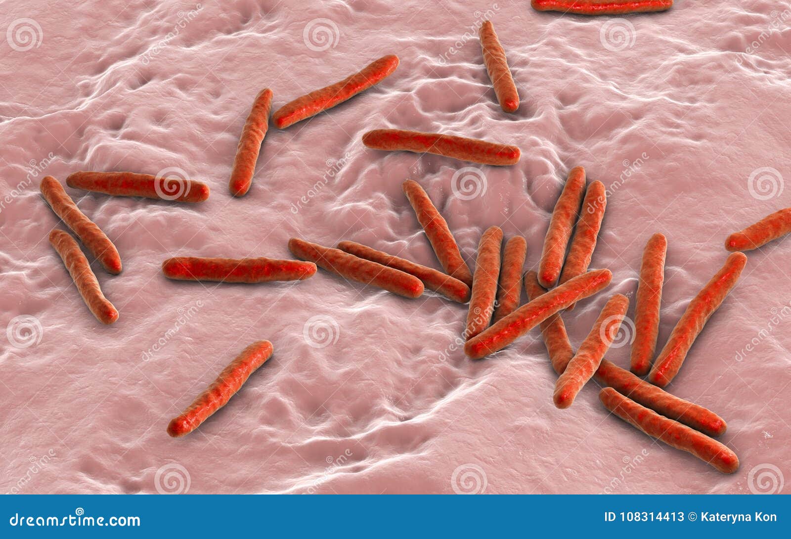Bacteria Mycobacterium Tuberculosis Stock Illustration - Illustration ...