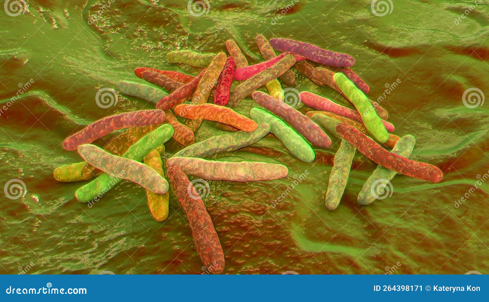Bacteria Mycobacterium Tuberculosis, the Causative Agent of ...