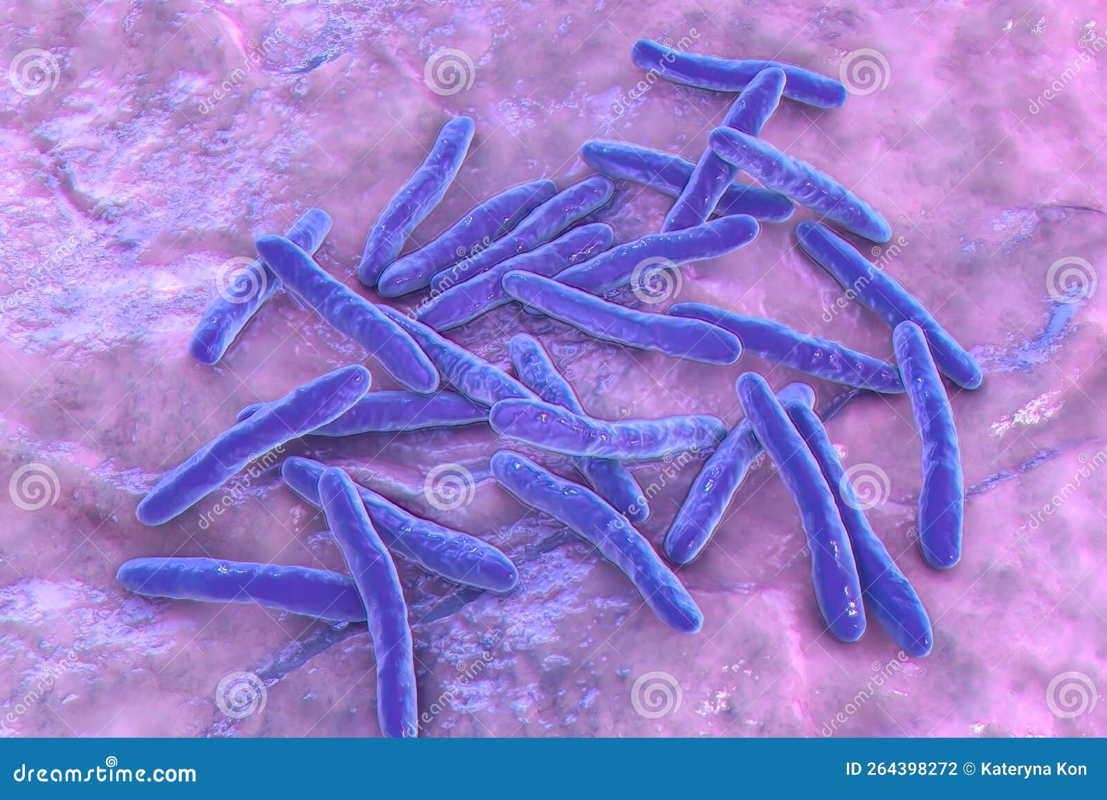 Bacteria Mycobacterium Tuberculosis, the Causative Agent of ...