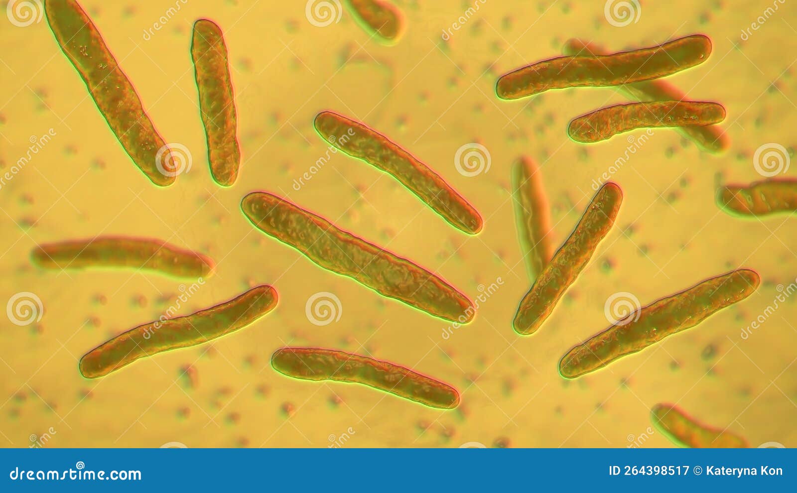 Bacteria Mycobacterium Tuberculosis, the Causative Agent of ...