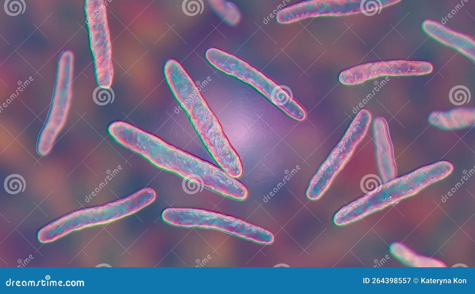 Bacteria Mycobacterium Tuberculosis, The Causative Agent Of ...