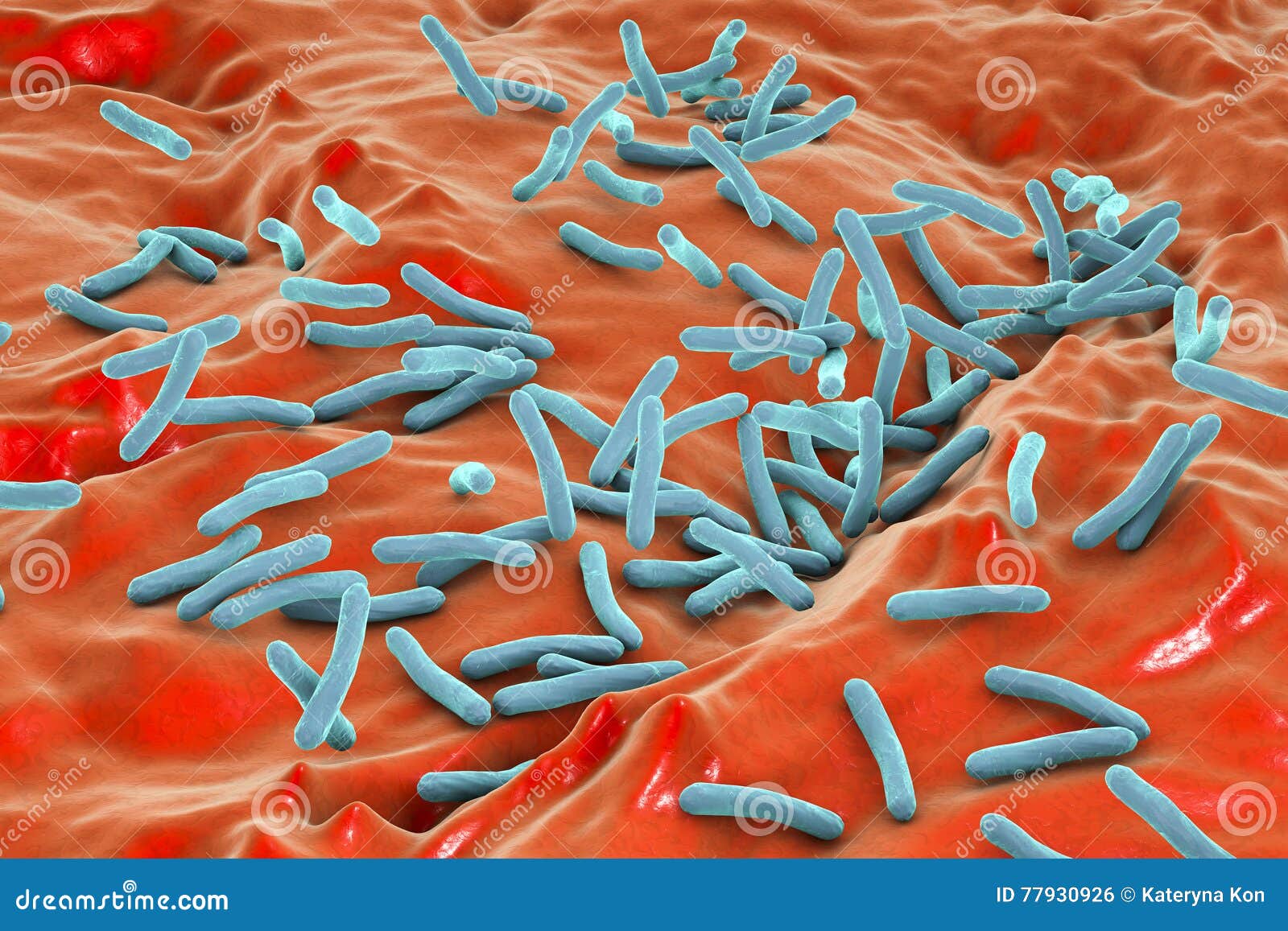 Mycobacterium Tuberculosis Is Species Of Pathogenic Bacteria, Causative ...