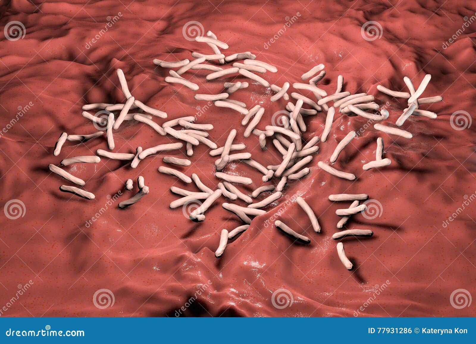 Bacteria Mycobacterium Tuberculosis Stock Illustration - Illustration ...