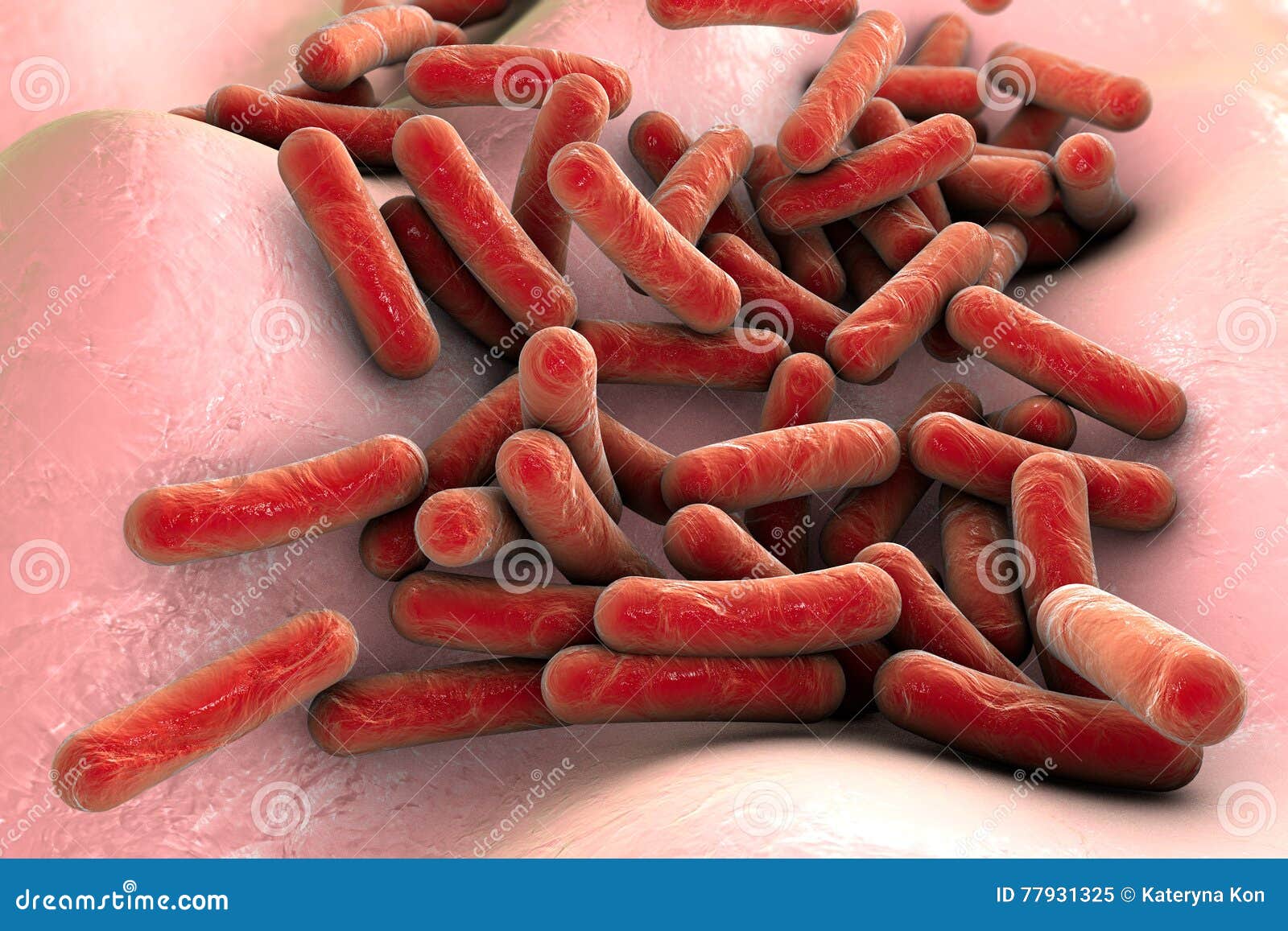 Bacteria Mycobacterium Tuberculosis Stock Illustration - Illustration ...