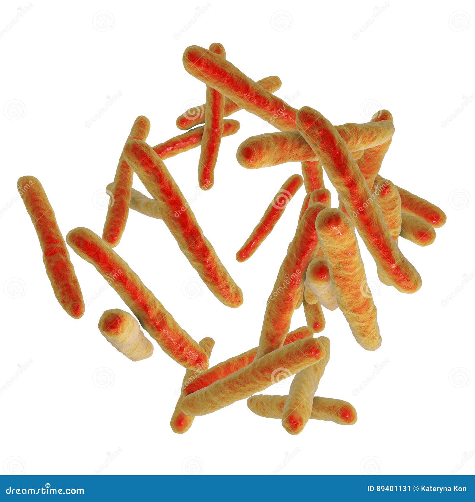 Mycobacterium Tuberculosis. Bacteria, Causative Agent Of Tuberculosis ...