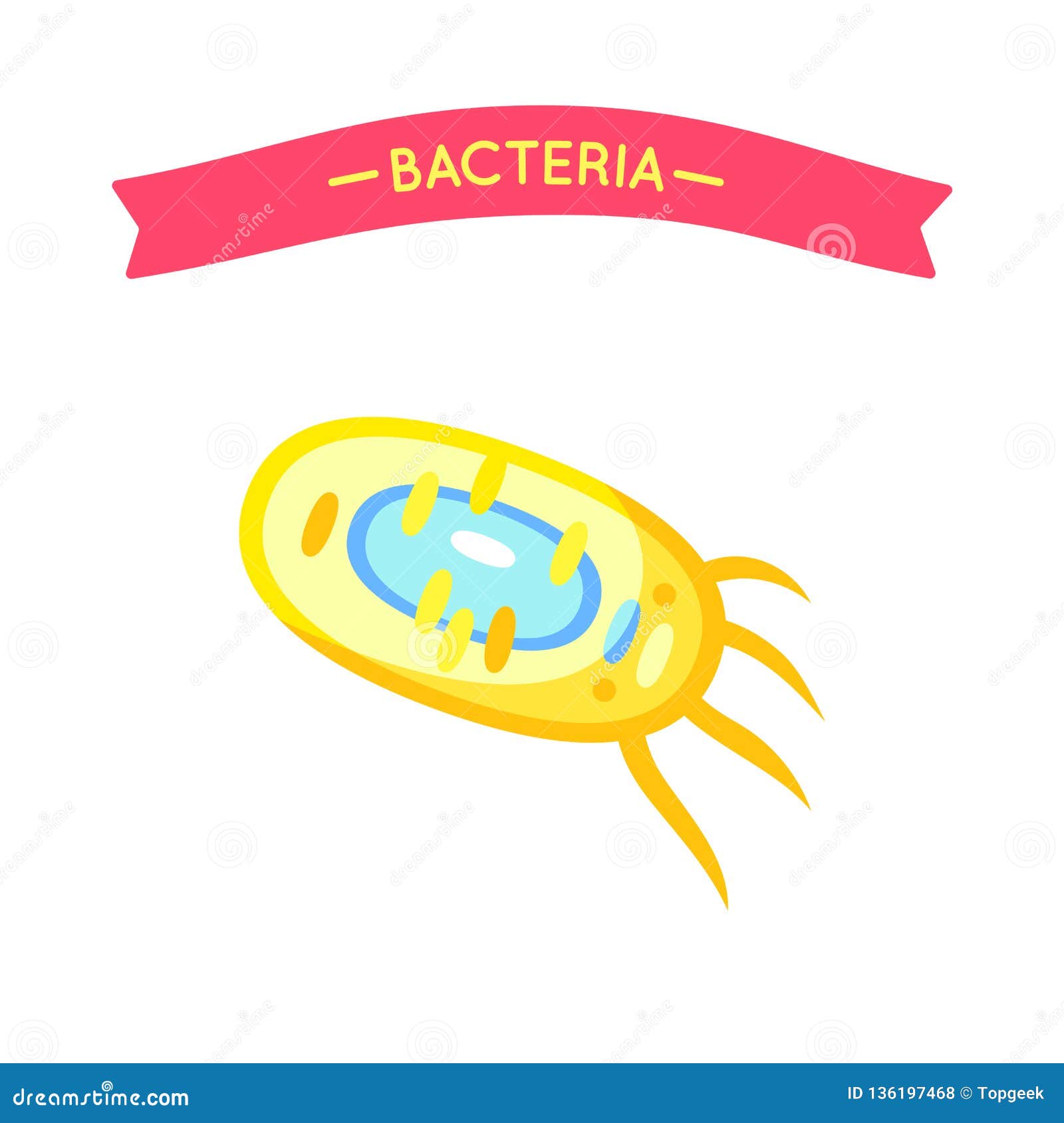 Bacteria Poster with Organism Vector Illustration Stock Vector ...