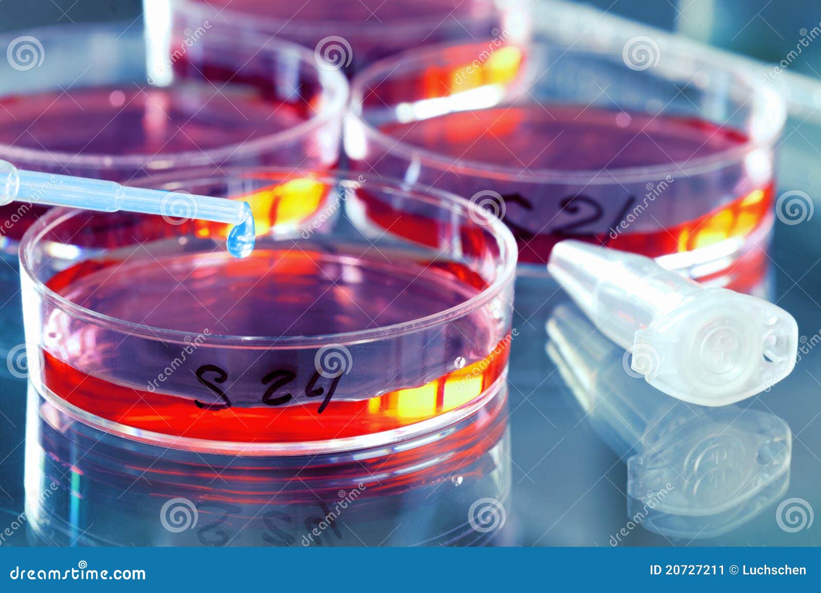 Bacteria research stock image. Image of healthcare, medical - 20727211
