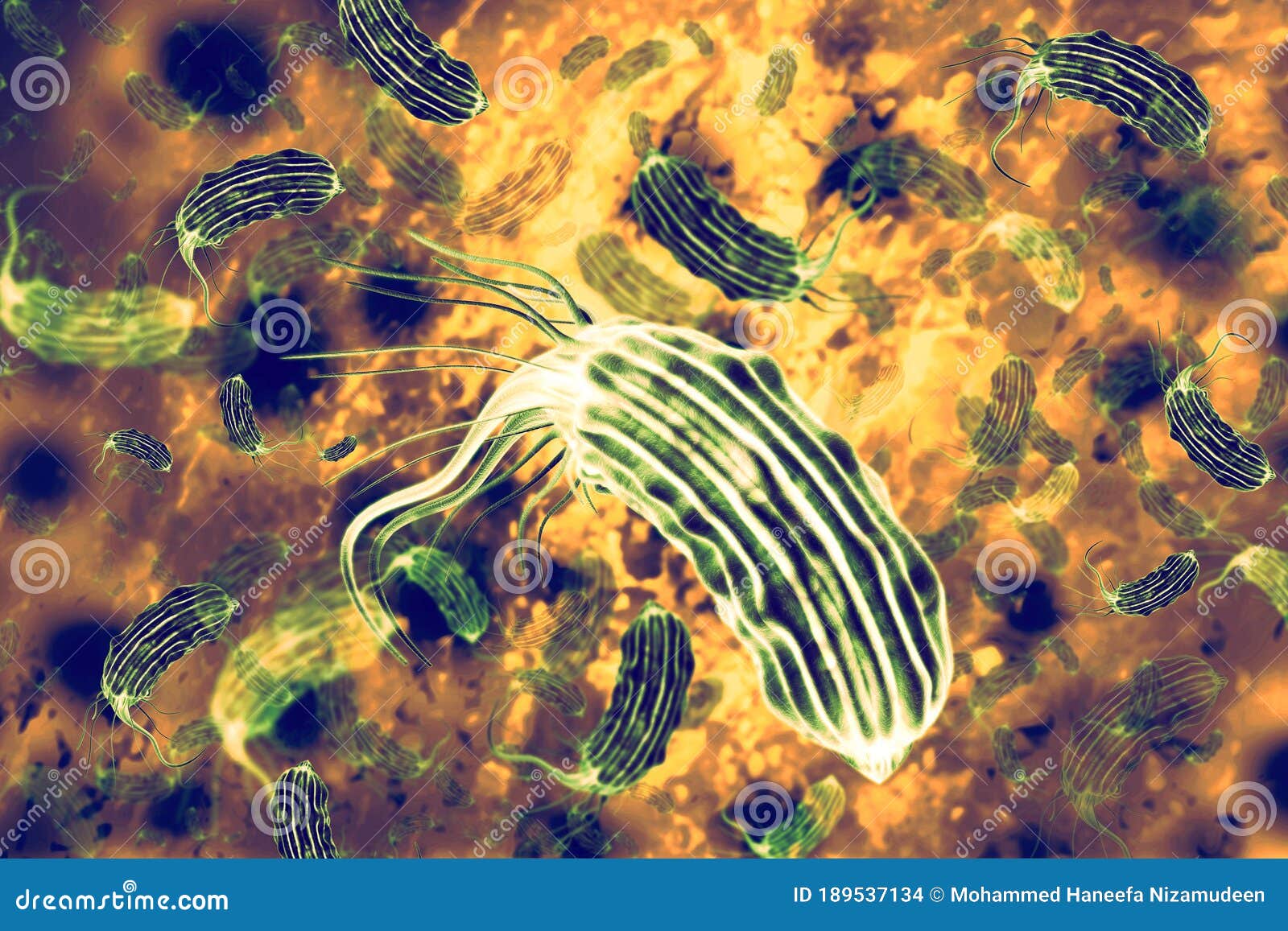 Bacteria on Scientific Background Stock Illustration - Illustration of ...