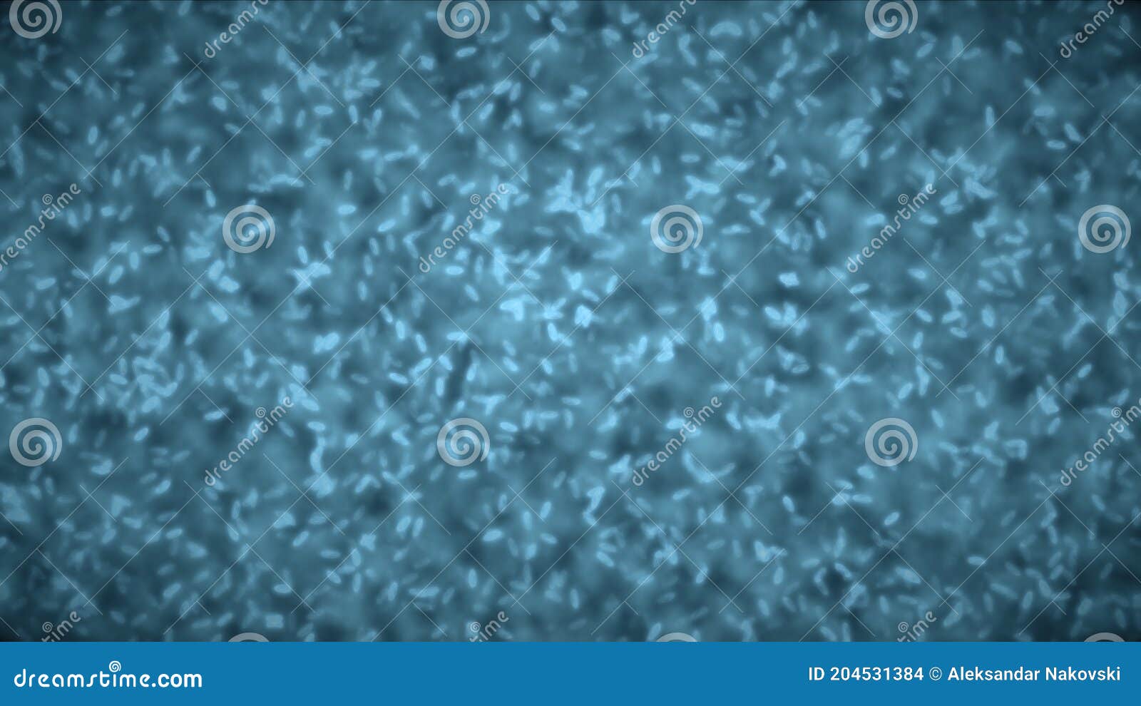 Bacteria Seen on a Microscope Stock Illustration - Illustration of ...