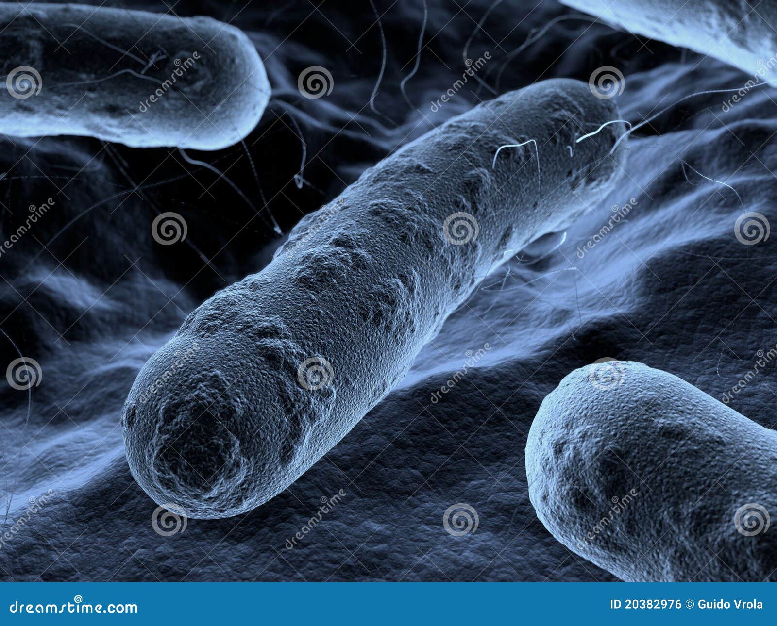 Bacteria Seen Under a Scanning Microscope Stock Illustration ...