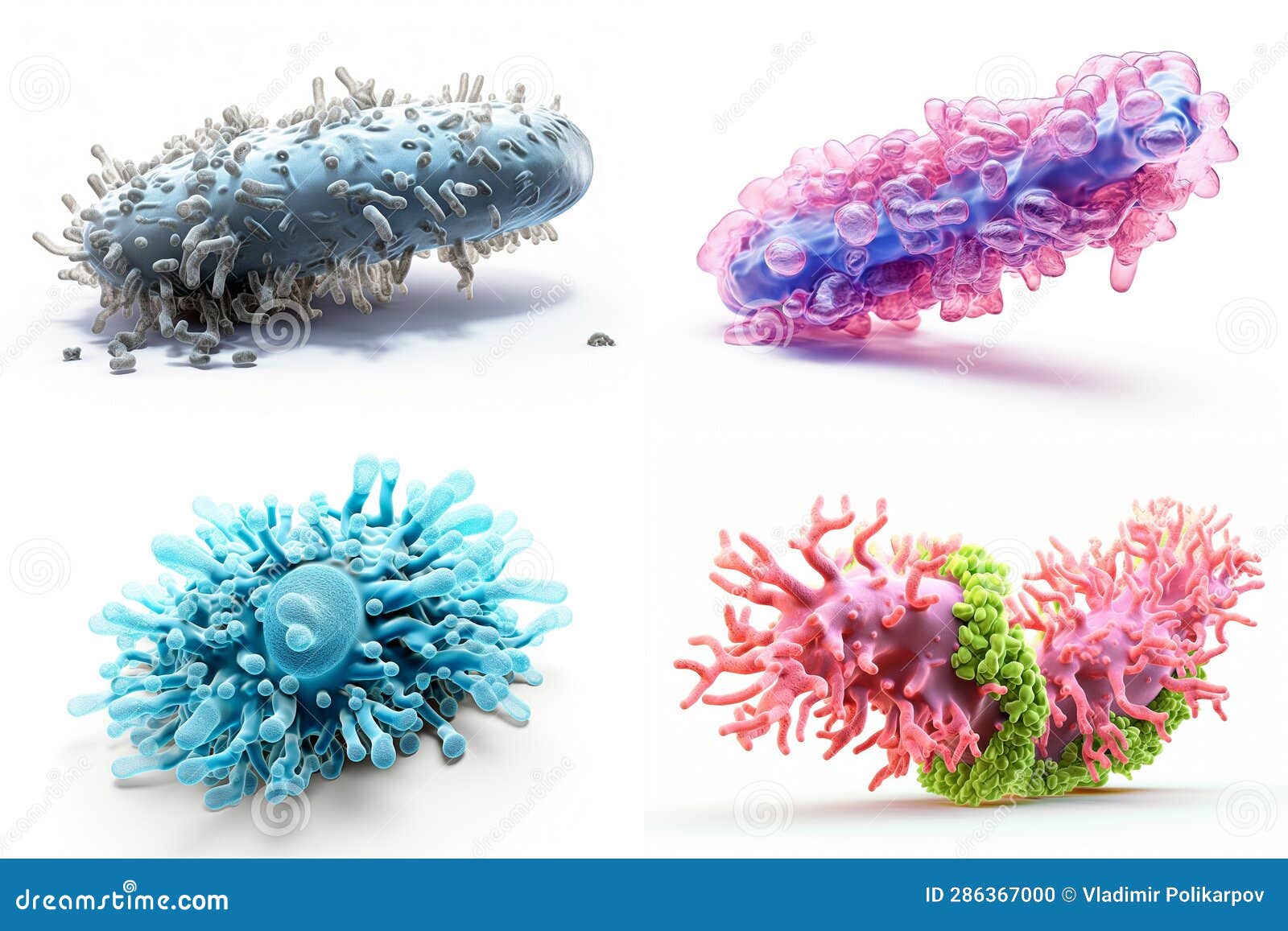 Bacteria Set Isolated on White Background Stock Illustration ...