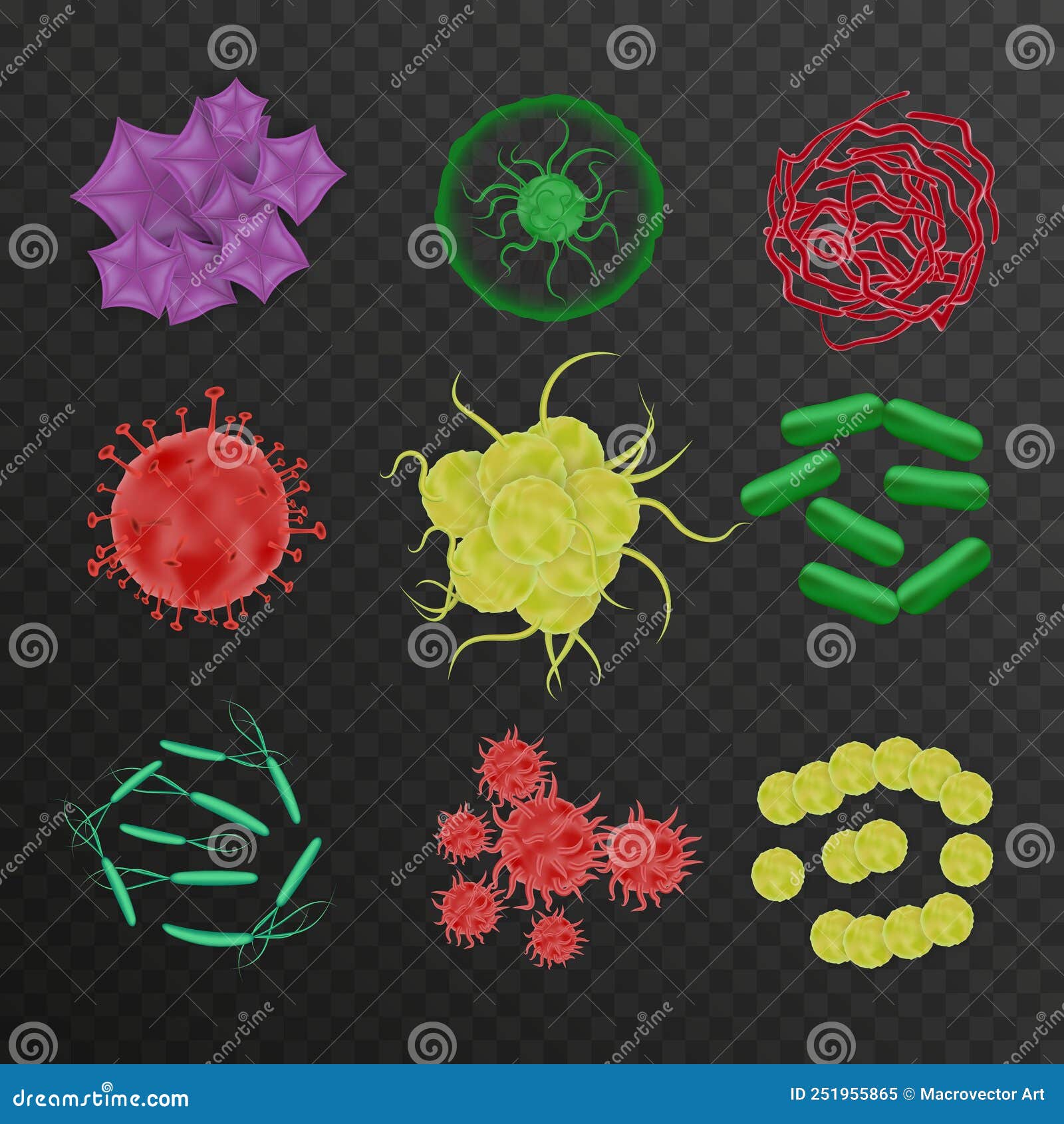 Bacteria Shapes Realistic Infographics Vector Illustration ... Bacteria Shapes Realistic Infographics Vector Illustration ...