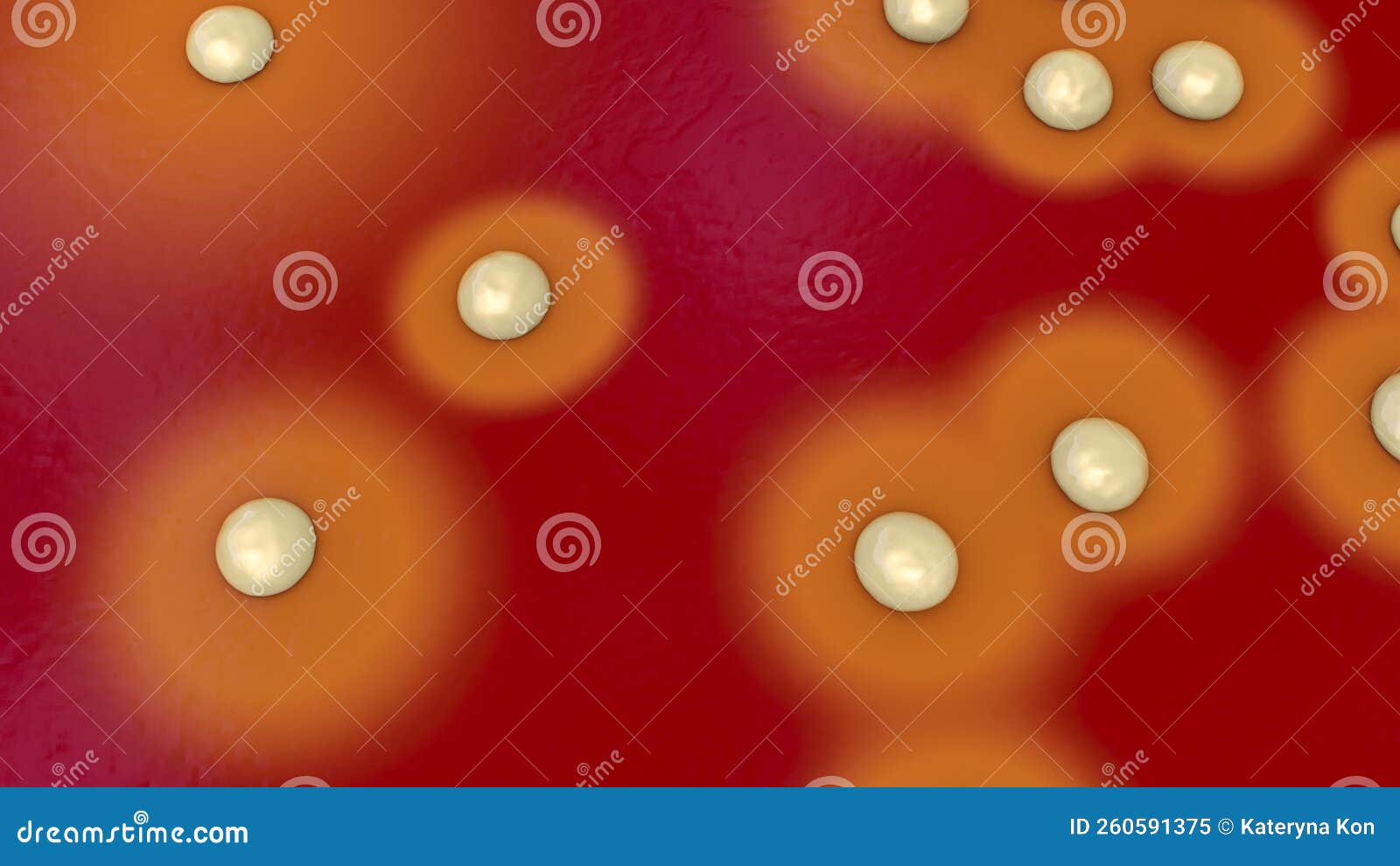 Bacteria Staphylococcus Aureus, 3D Illustration Stock Illustration ...
