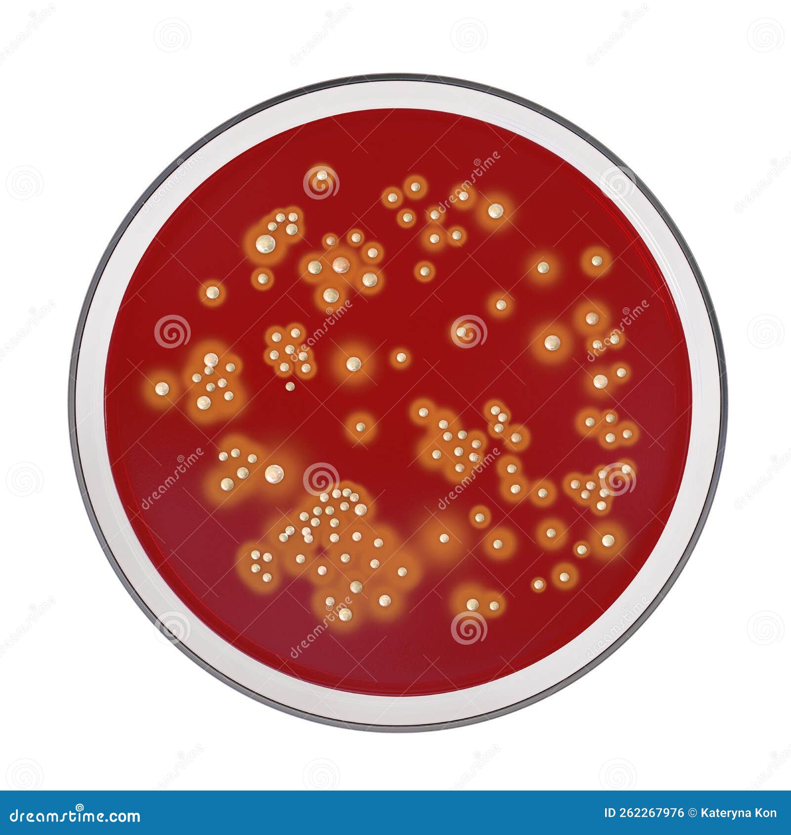 Bacteria Staphylococcus Aureus, 3D Illustration Stock Illustration ...