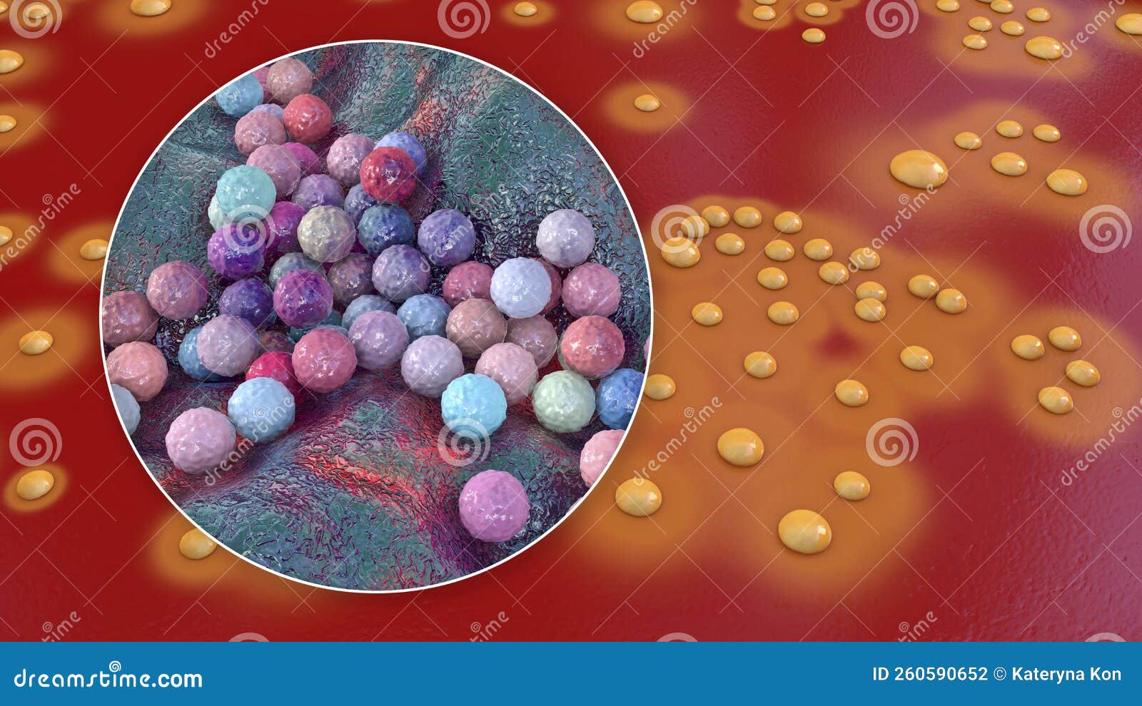 Bacteria Staphylococcus Aureus Stock Illustration | CartoonDealer.com ...