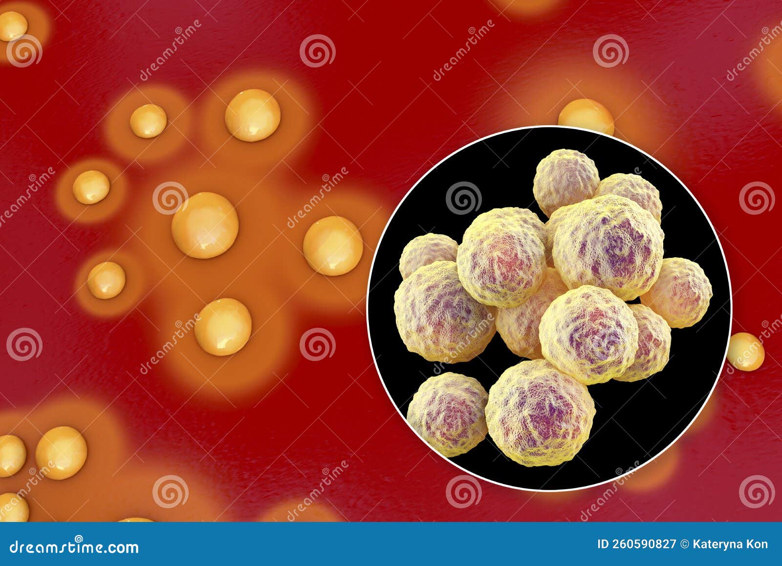 Bacteria Staphylococcus Aureus, 3D Illustration Stock Illustration ... Bacteria Staphylococcus Aureus, 3D Illustration Stock Illustration ...