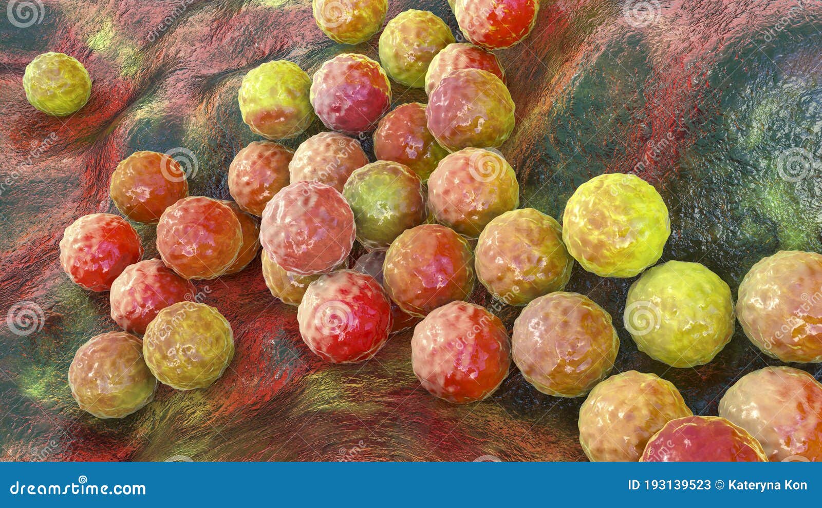 Bacteria Staphylococcus Aureus Stock Illustration - Illustration of ...