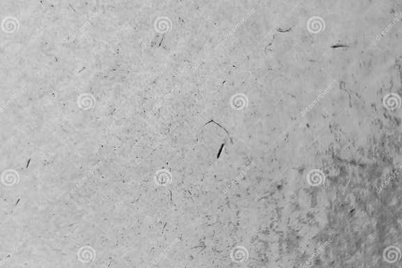 Bacteria and Sticks Under the Microscope, Microorganisms, Chemistry and ...