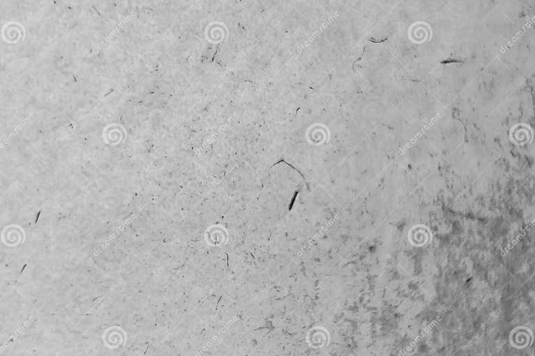 Bacteria and Sticks Under the Microscope, Microorganisms, Chemistry and ...