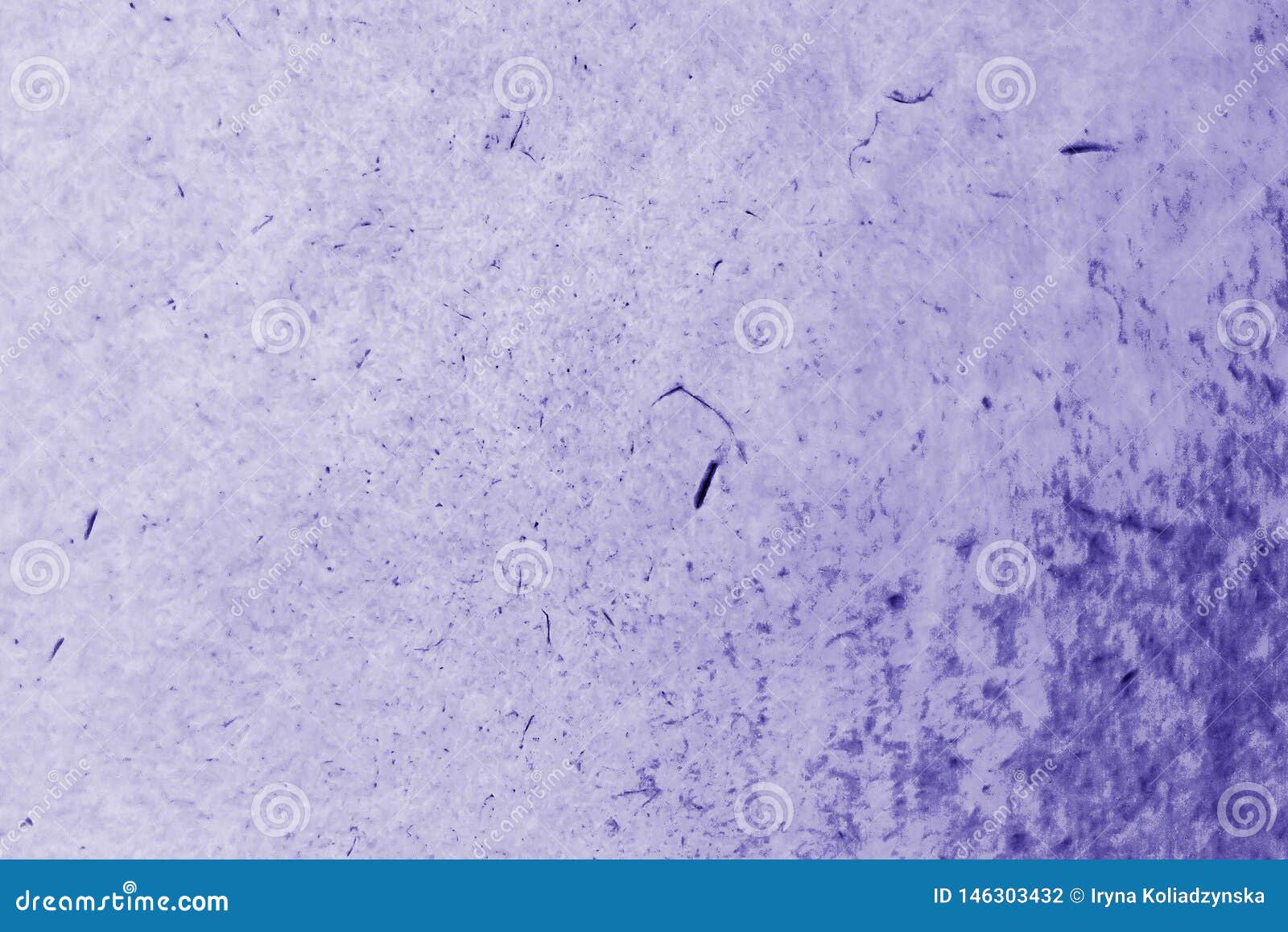 Bacteria and Sticks Under the Microscope, Microorganisms, Chemistry and ...