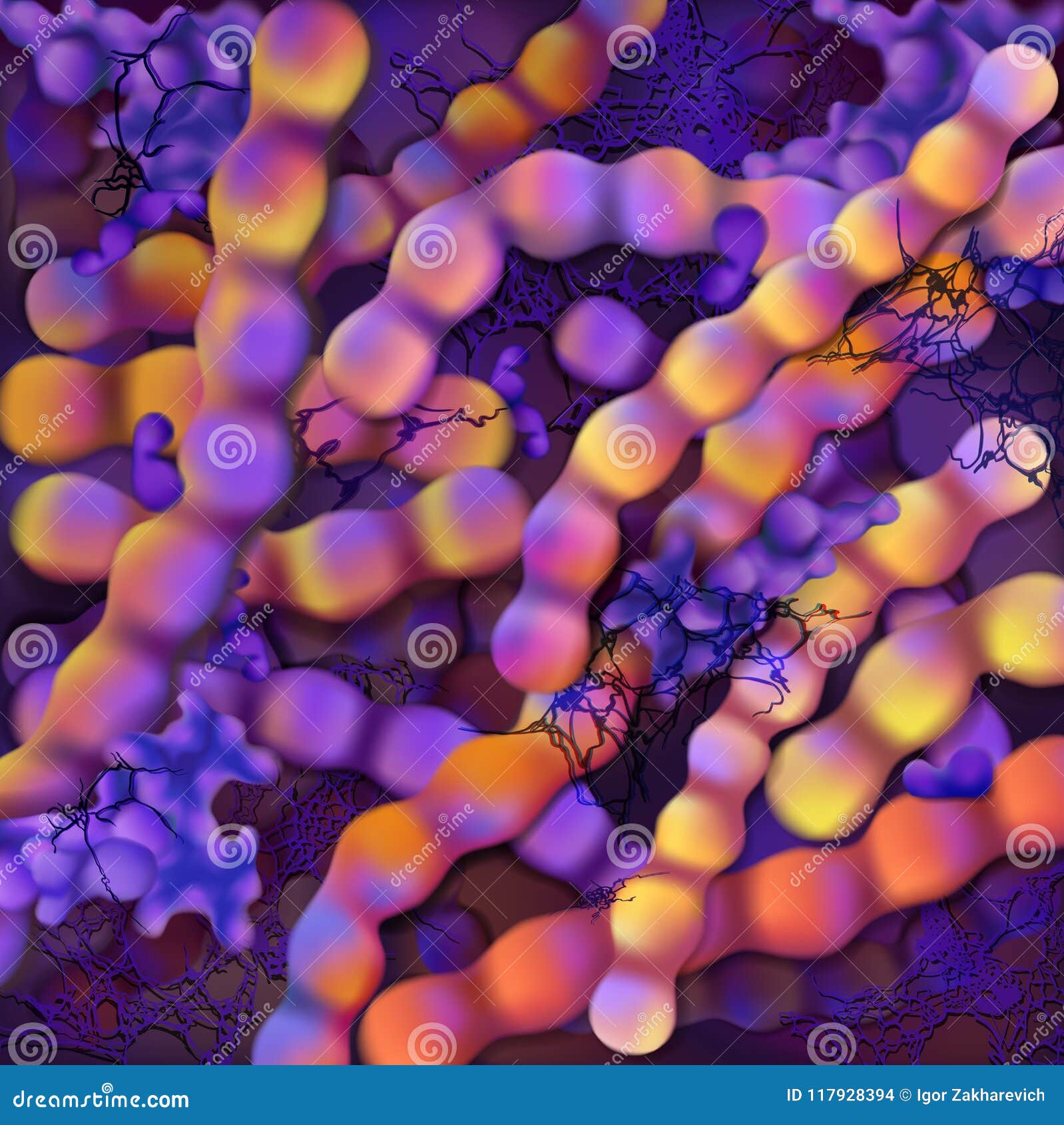 Streptococcus Bacteria Microscope