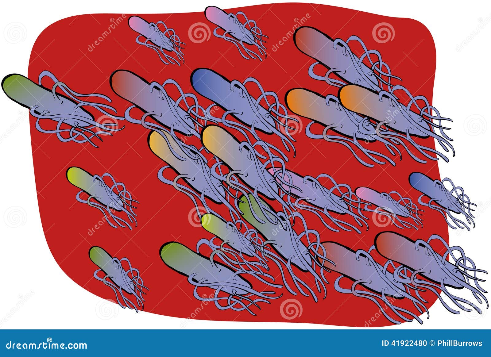 Bacteria Swimming In Medium Bacterium Concept Pili Flagella Superbug ...