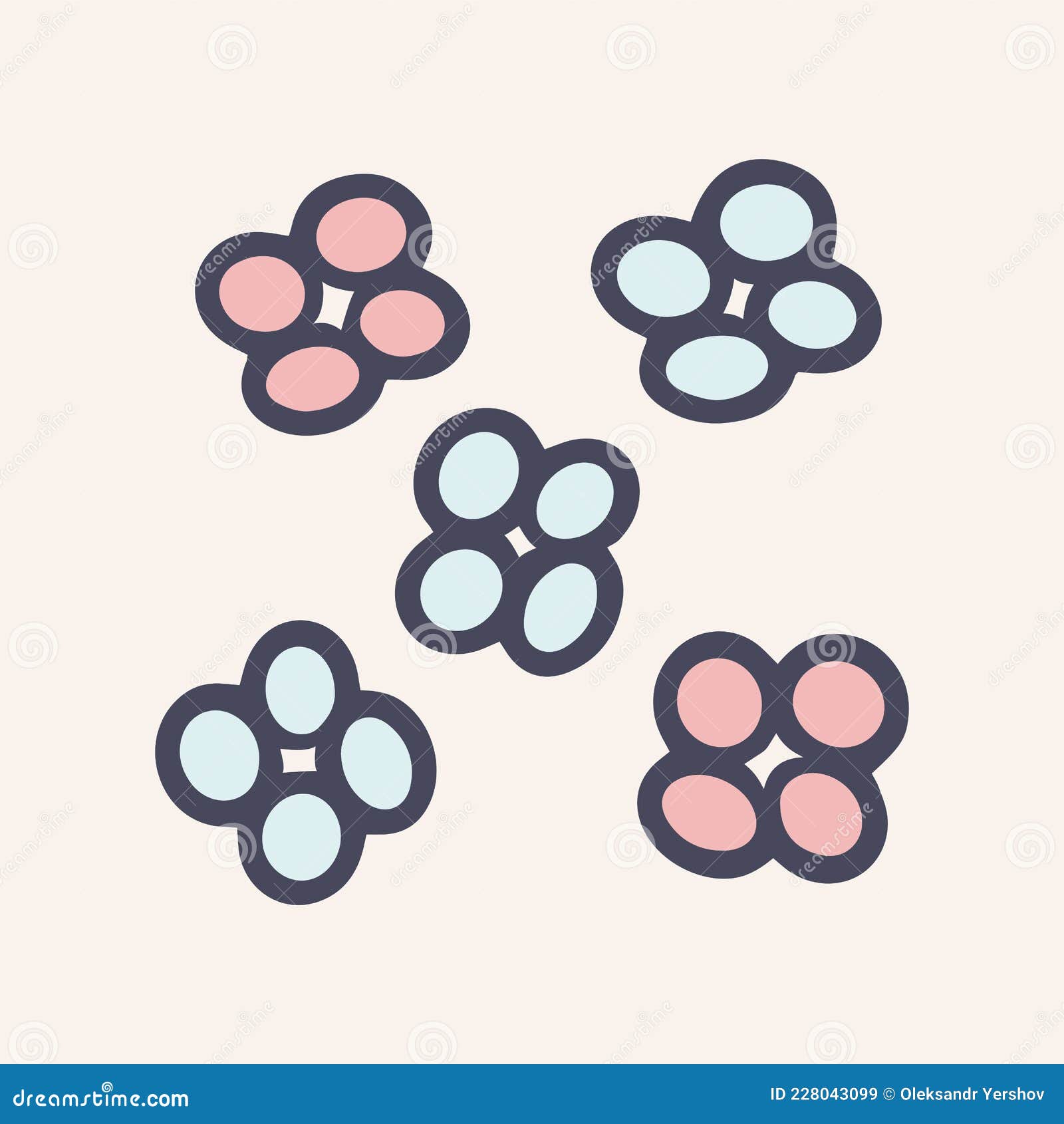 Tetracoccus. Bacteria Classification. Spherical Shapes Of Bacteria ...