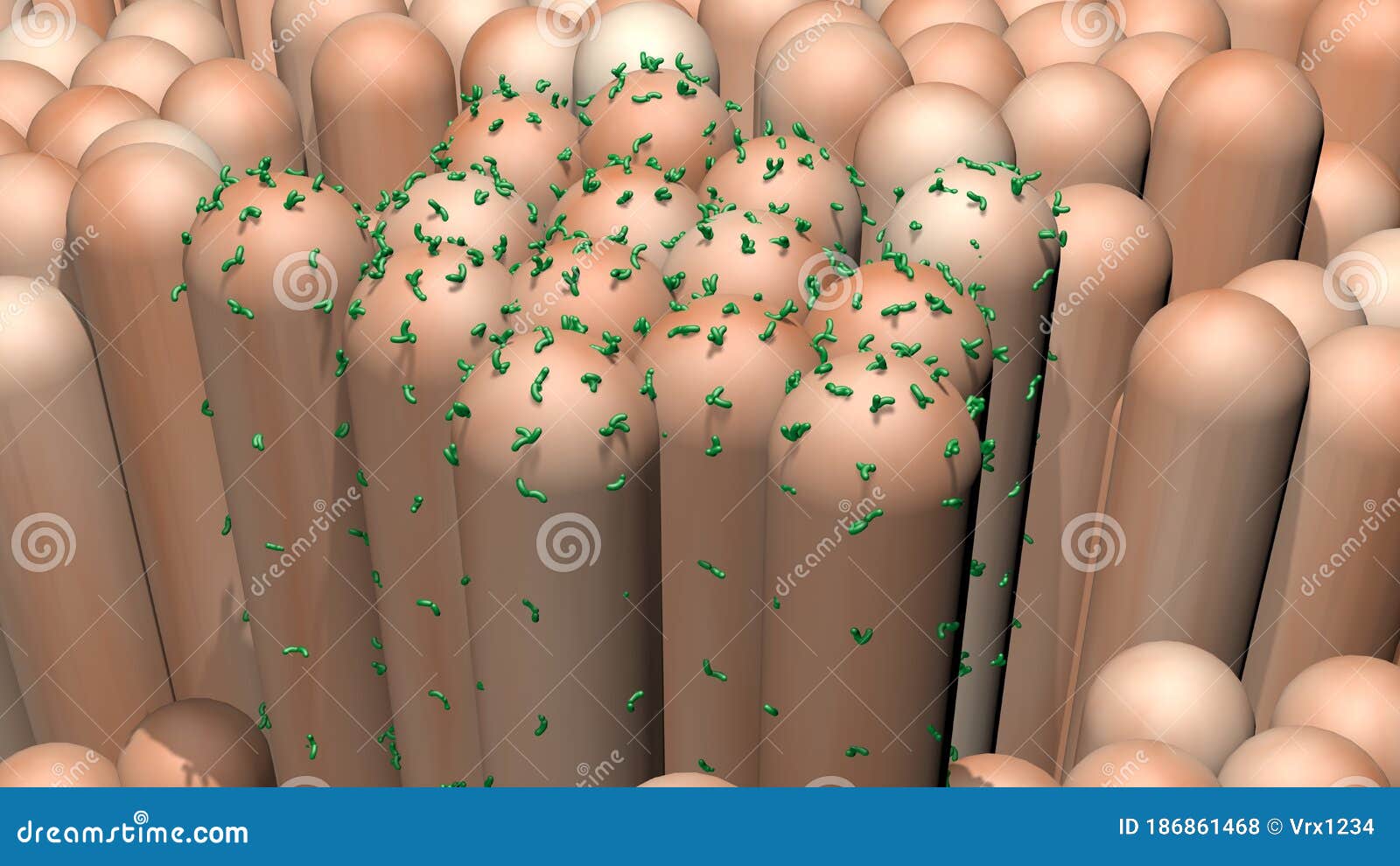 Bacteria on Toothbrush. Extreme Magnification . View 1. 3d Rendering ...