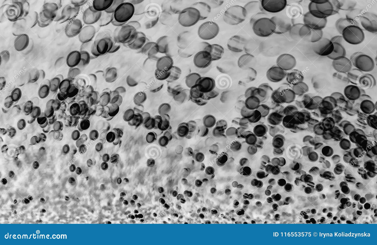 Bacteria Under the Microscope Background Stock Image - Image of immune ...