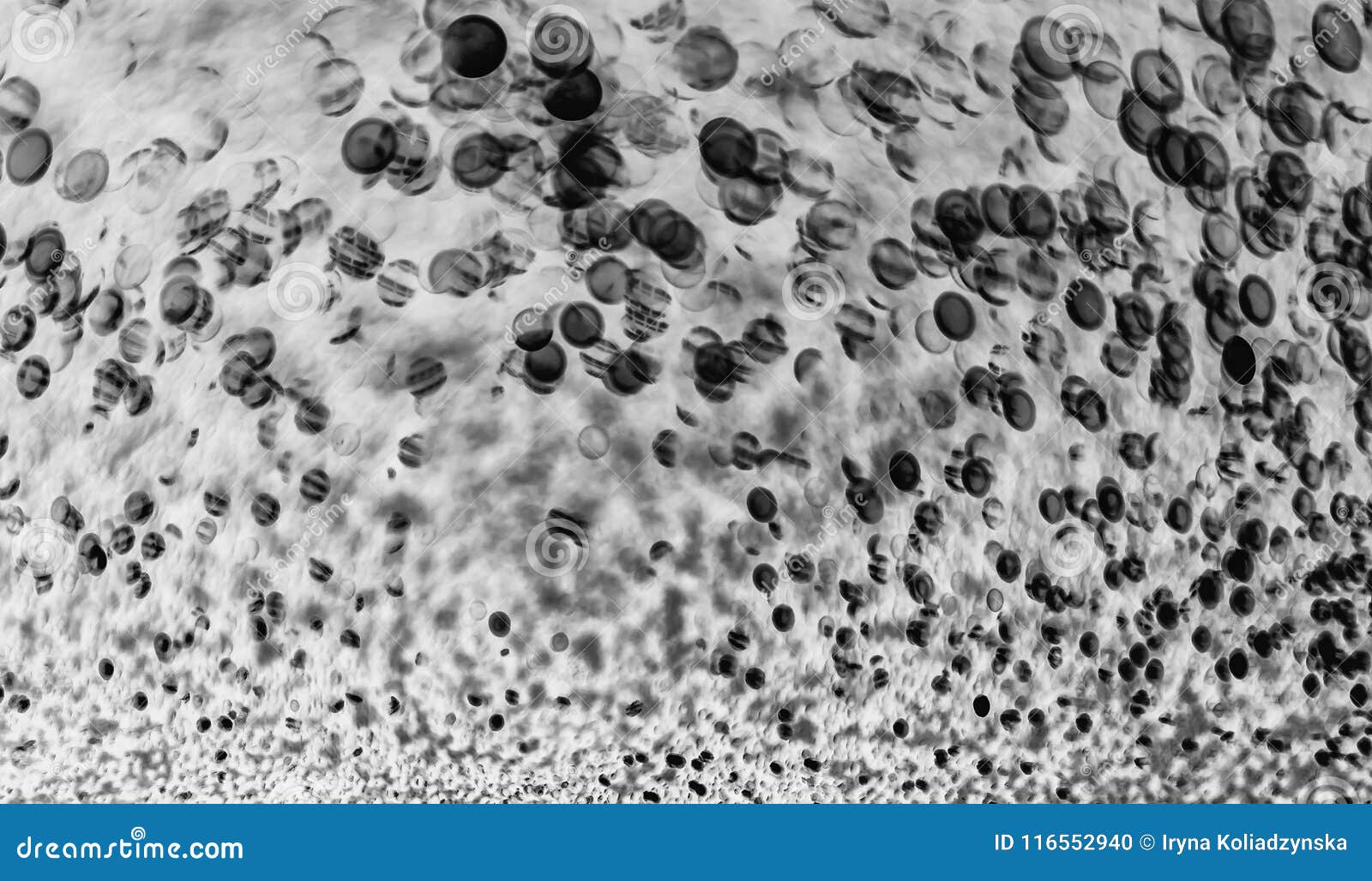 Bacteria Under the Microscope Background Stock Photo - Image of ...