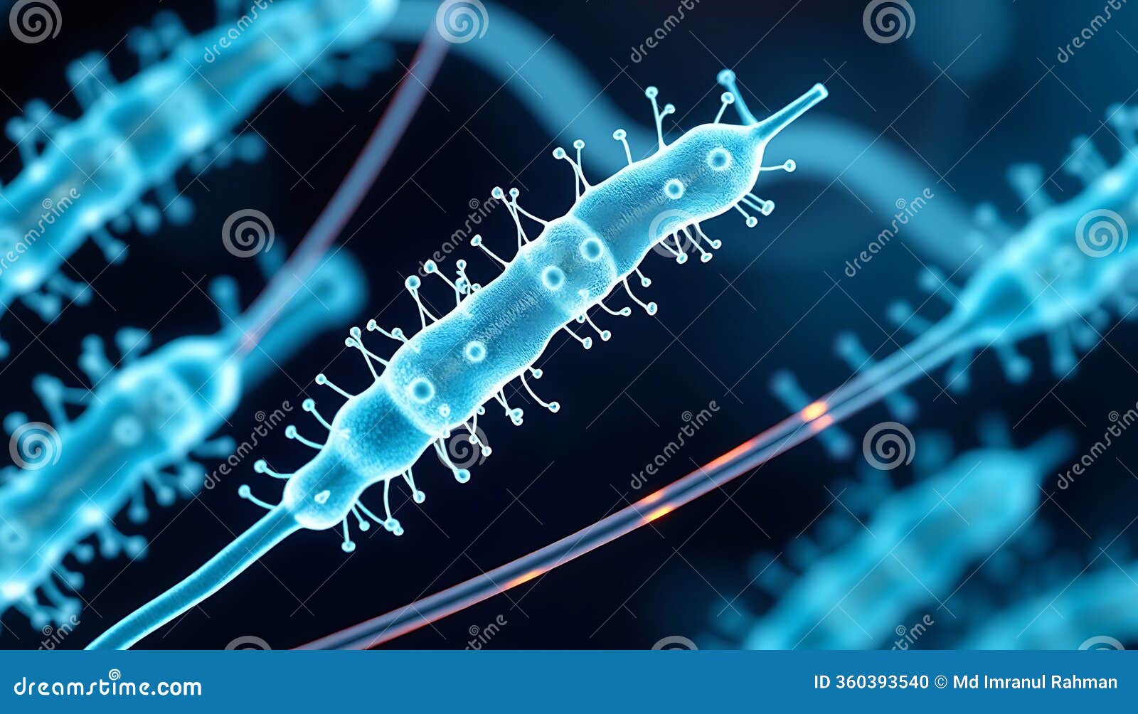 Bacteria Under Microscope, Scientific Image, Microorganisms, Biology ...