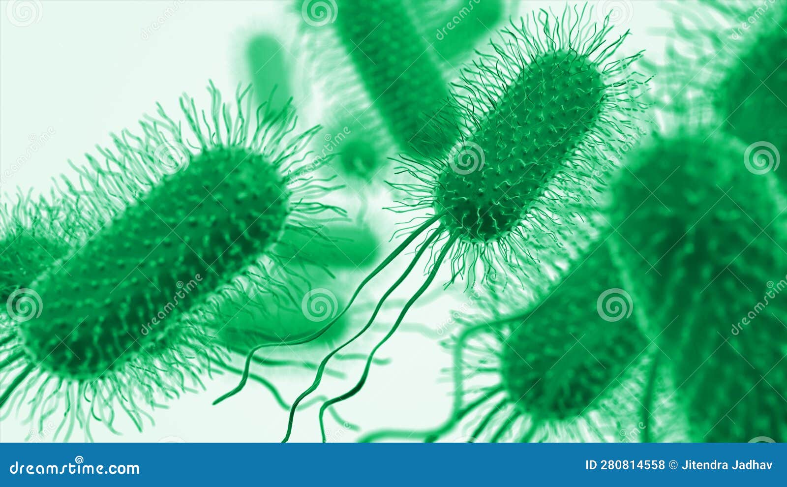 Bacteria or Virus Under Microscope Stock Illustration - Illustration of ...