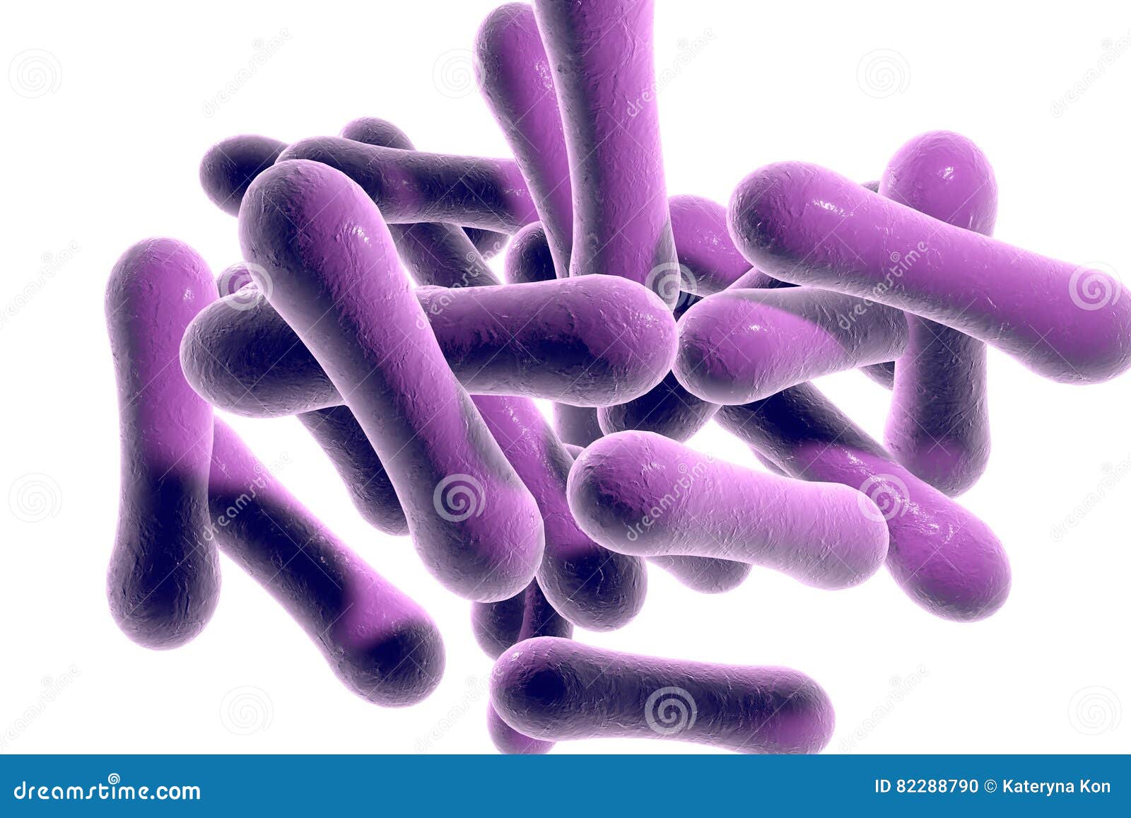 Bacteria Which Cause Diphtheria Stock Illustration - Illustration of ...