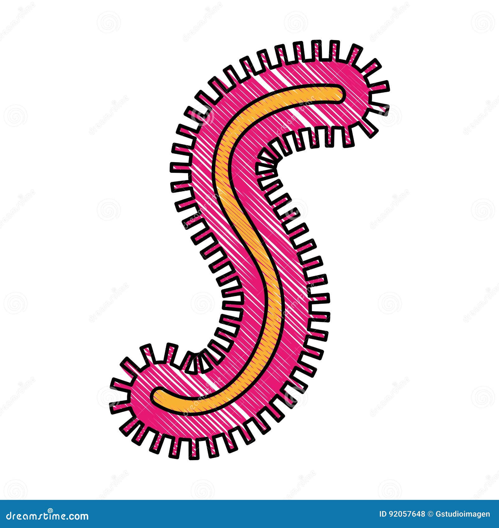 Bacterial Cell Structure Icon Stock Vector - Illustration of bacillus ...