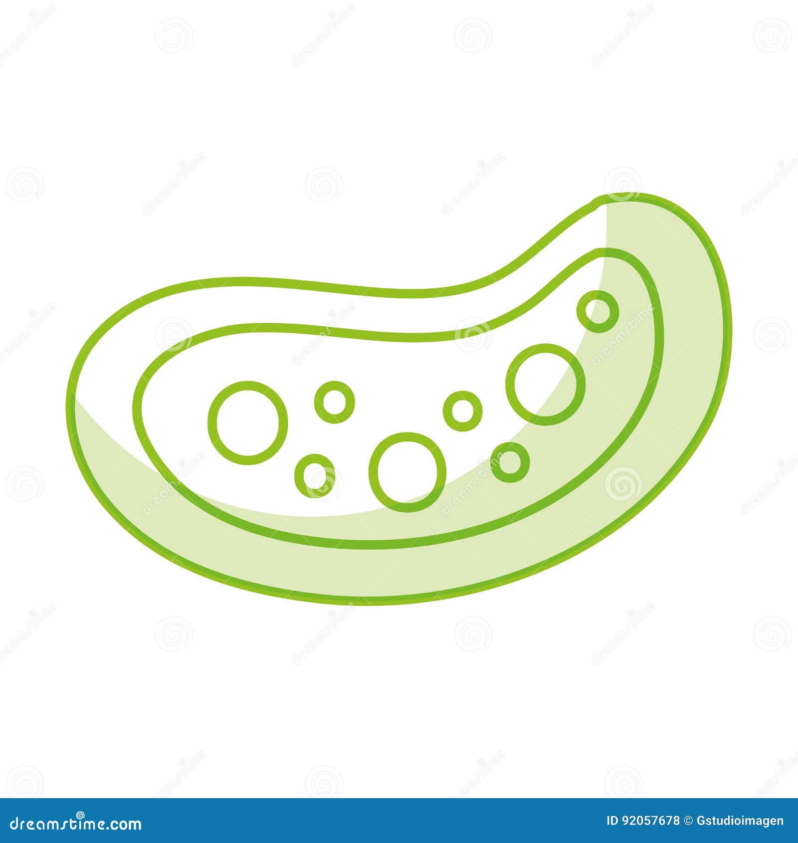 Bacterial Cell Structure Icon Stock Vector - Illustration of bacillus ...