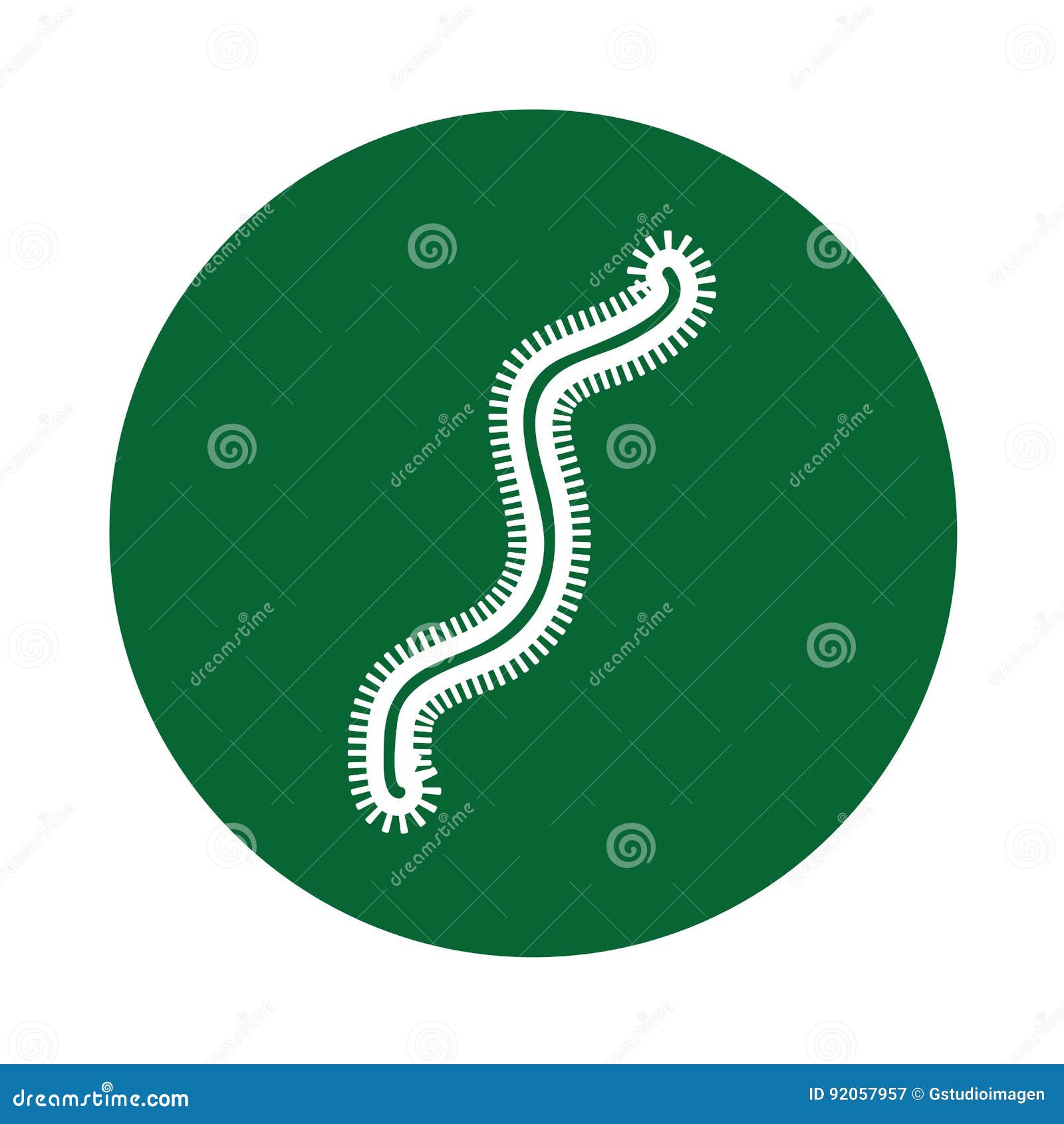 Bacterial Cell Structure Icon Stock Vector - Illustration of isolated ...