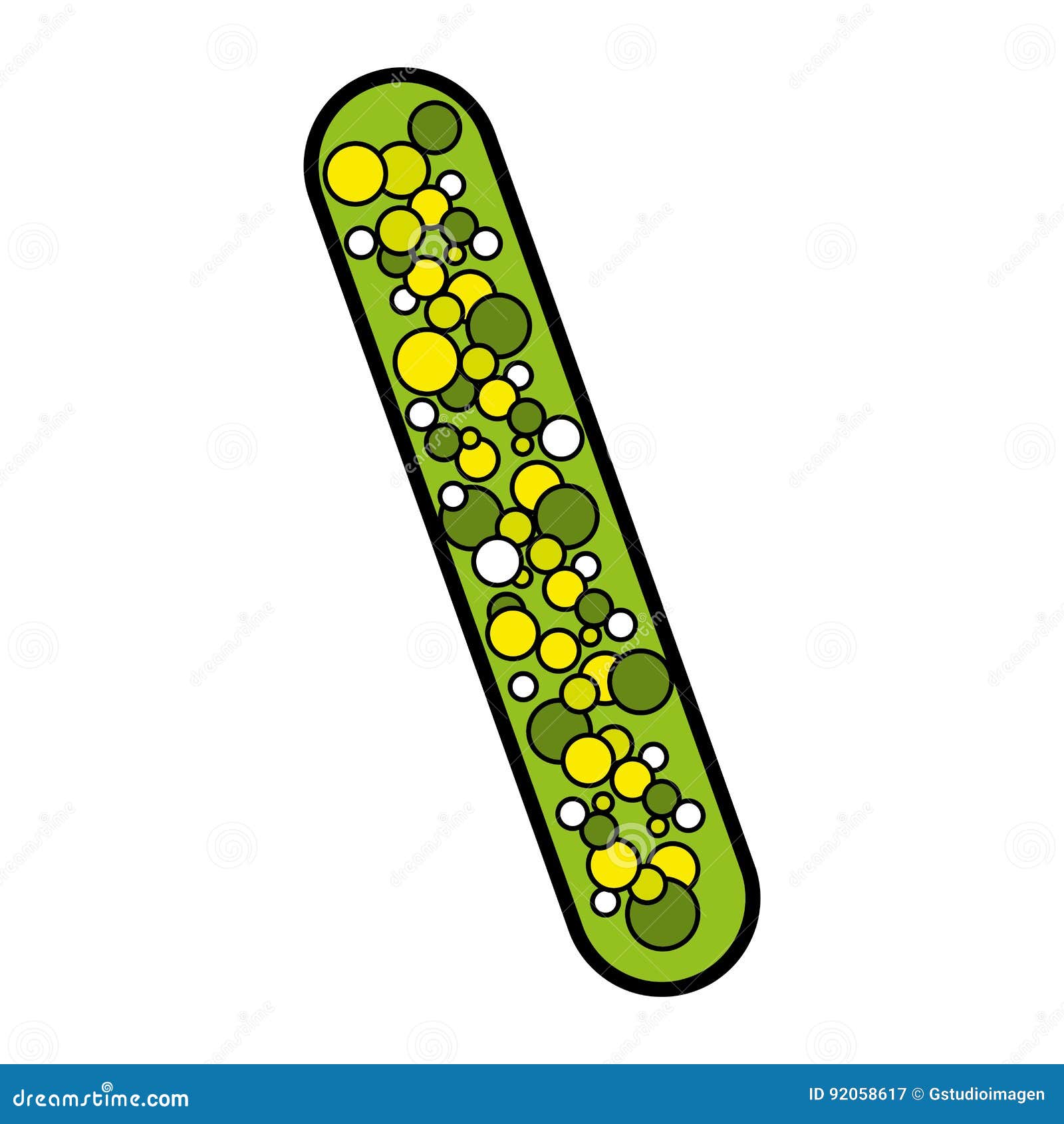 Bacterial Cell Structure Icon Stock Vector - Illustration of bacillus ...