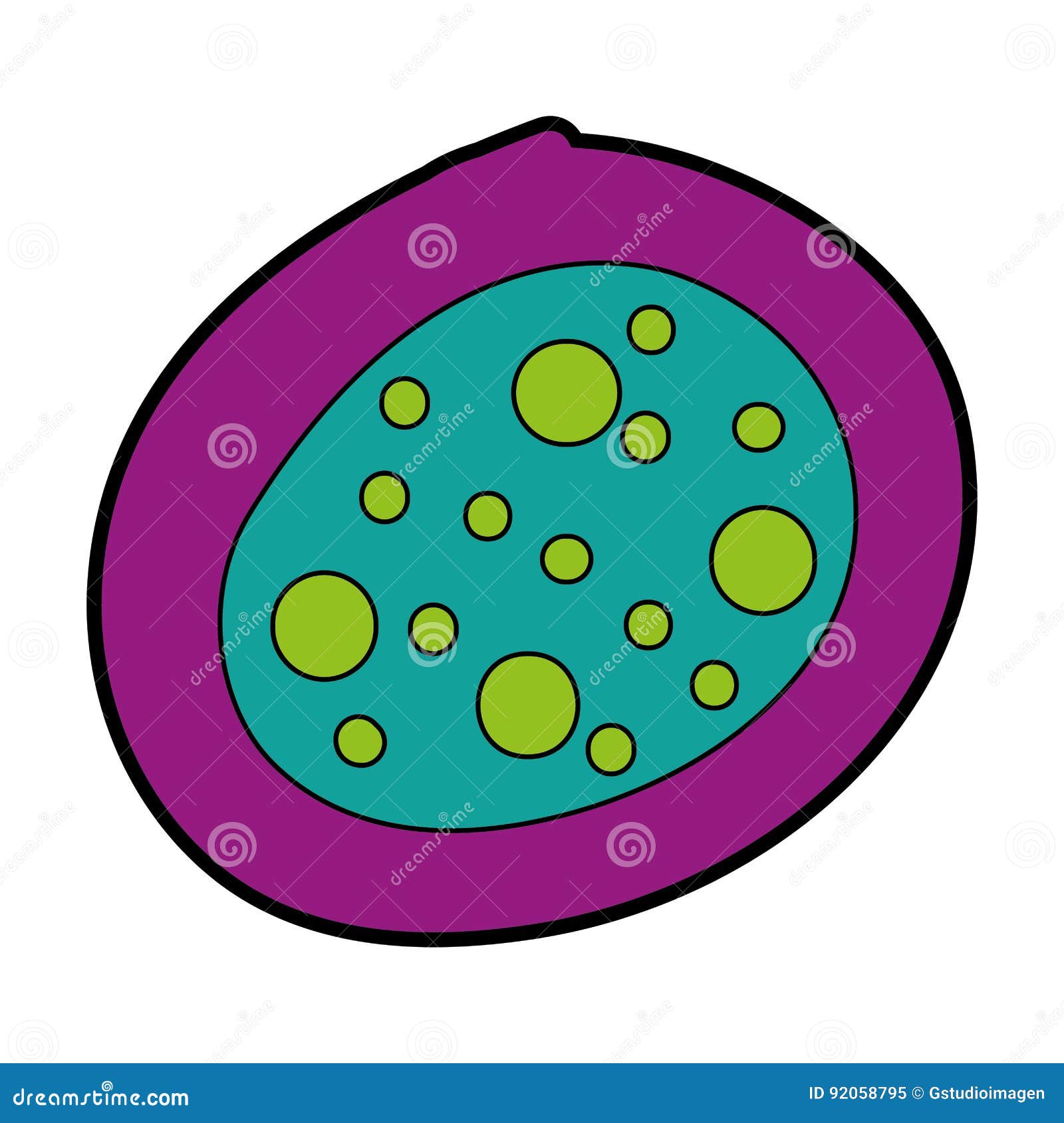 Bacterial Cell Structure Icon Stock Vector - Illustration of microbe ...