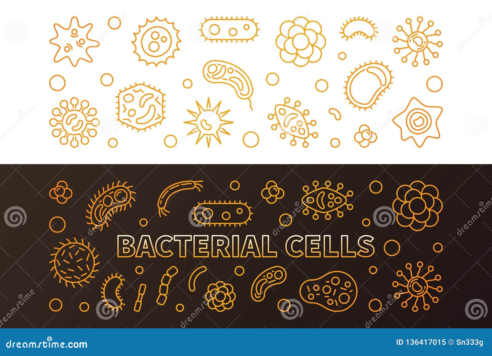 Bacterial Cells 2 Golden Line Banners - Vector Illustration Stock Vector - Illustration of ...