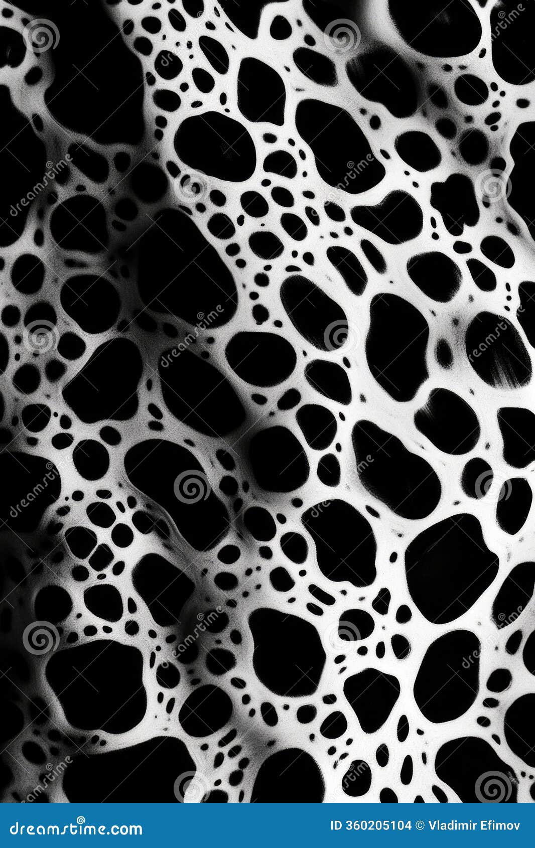 Bacterial Cells Under a Microscope Stock Photo - Image of public ...