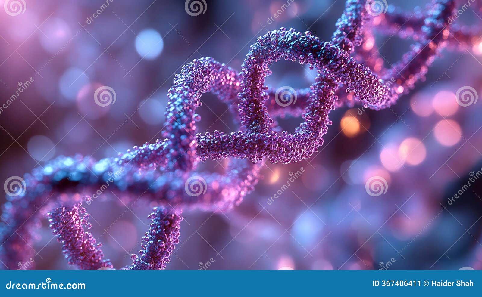 Bacterial Chromosome Supercoiling Visualized Gyrase Enzymes Regulating ...