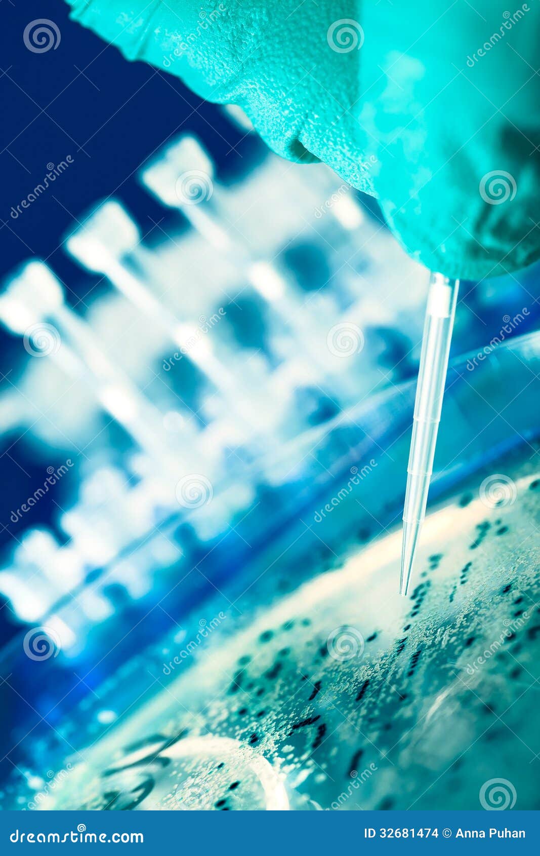 Bacterial colony picking stock photo. Image of genetically - 32681474