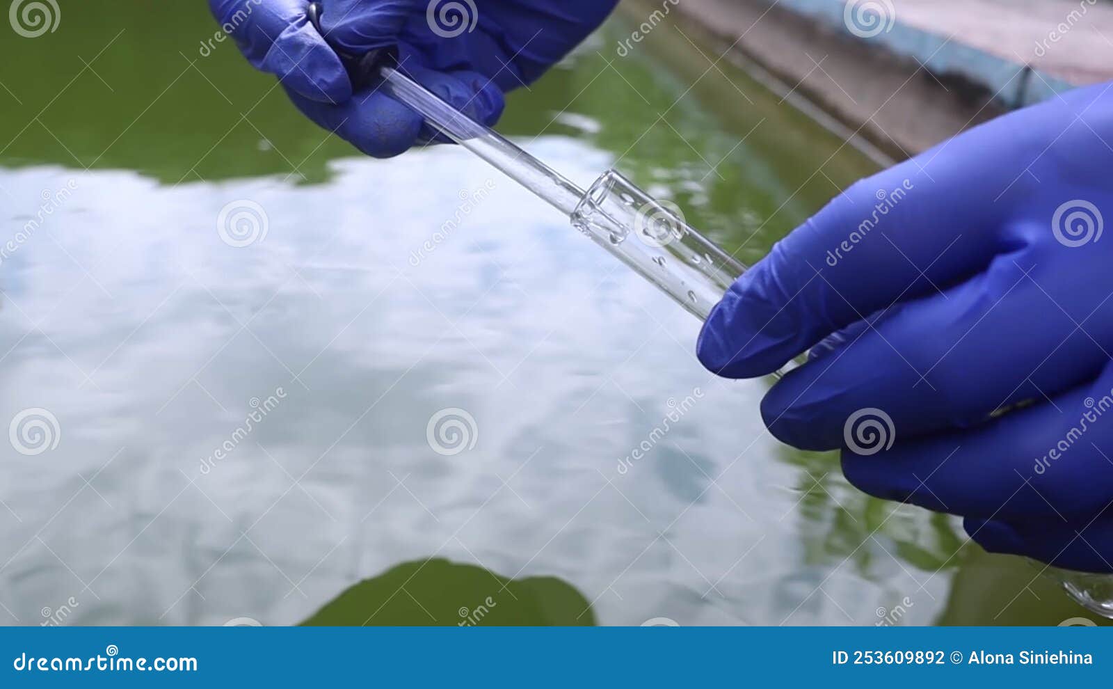 Water Sample. Bacterial Control of Pool Water. Checking the Amount of ...