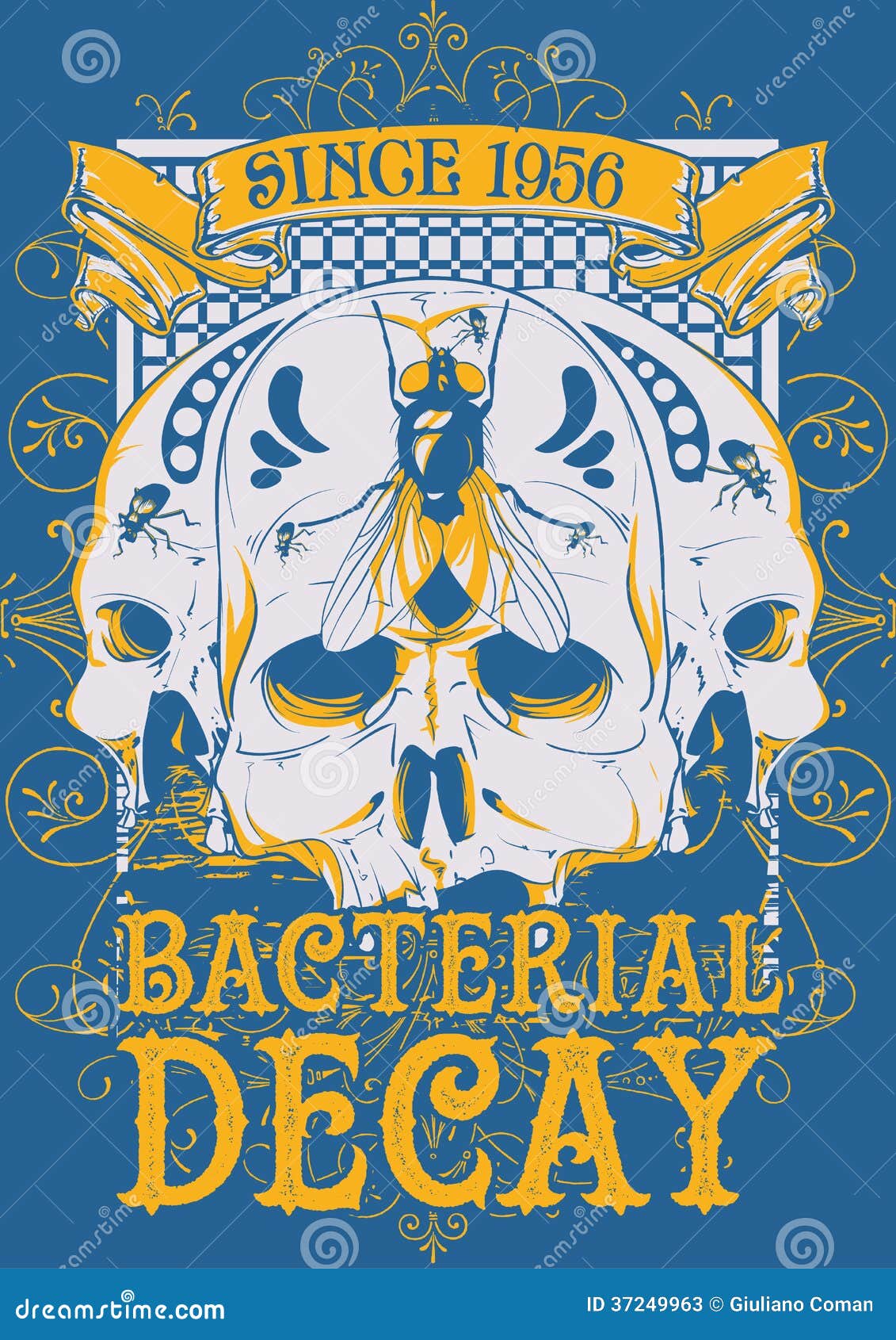 Bacterial decay stock vector. Illustration of body, larva - 37249963